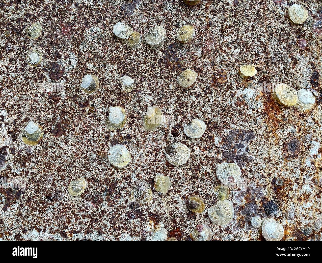 Textured background of old wall with metal uneven surface and corrosion ...