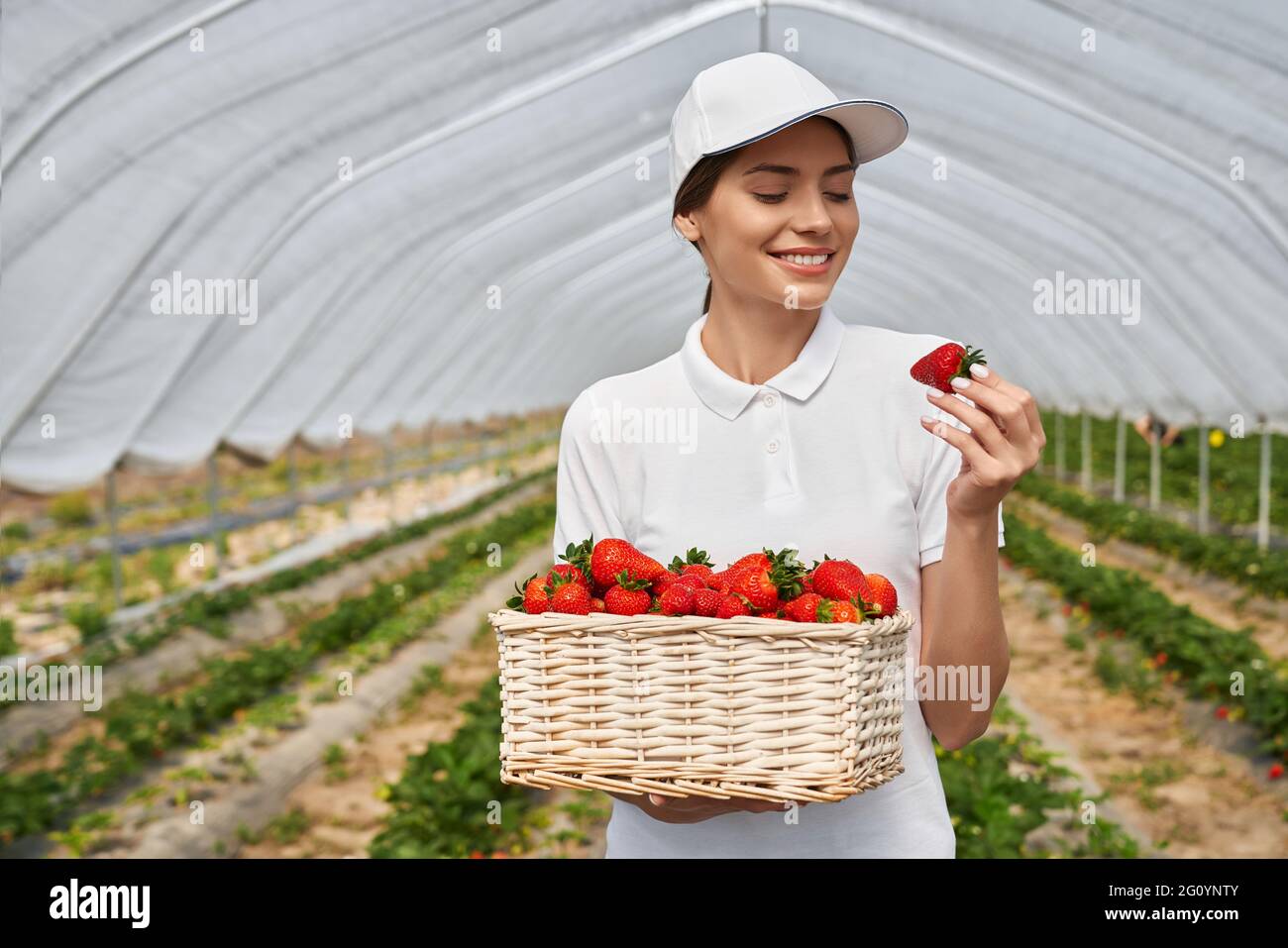 Happy female field worker standing at greenhouse with wicker basket ...