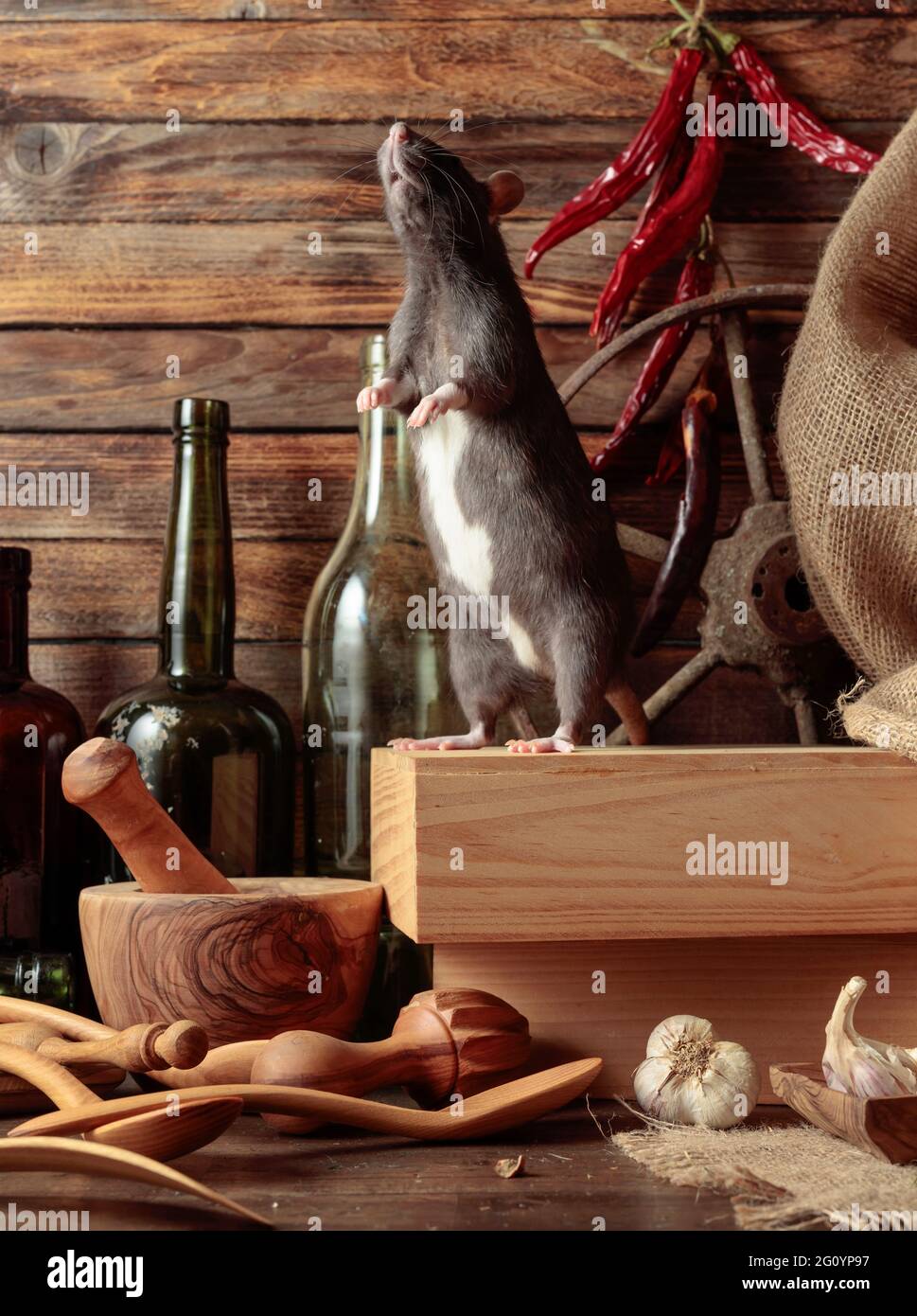 Mortar and pest hi-res stock photography and images - Alamy