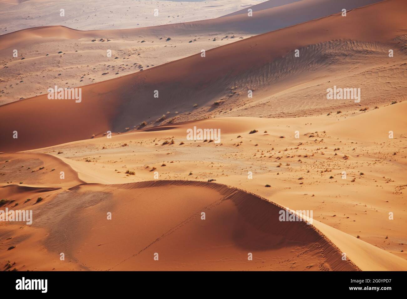 Beautiful sand dunes in the Namib desert, Namibia Stock Photo - Alamy