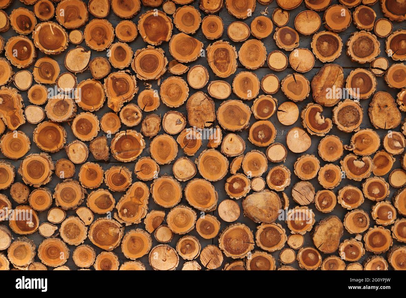 different round wooden disks as a background on a board Stock Photo - Alamy
