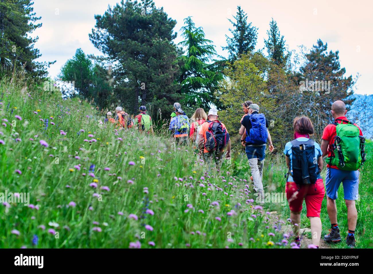 Group of hikers on a hill trails Stock Photo - Alamy