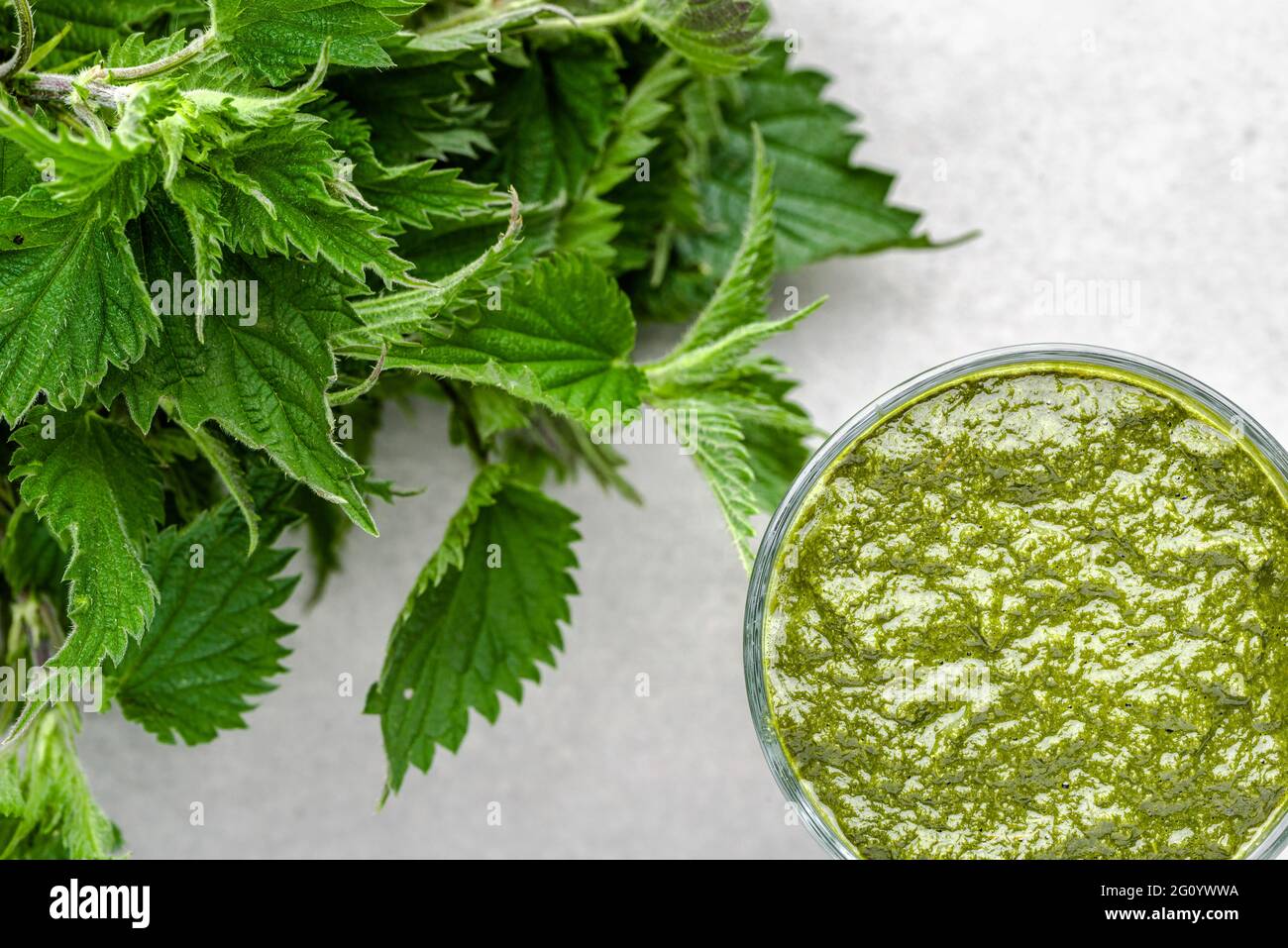 Healthy smoothie with green leaves of nettle in jar on white background ...