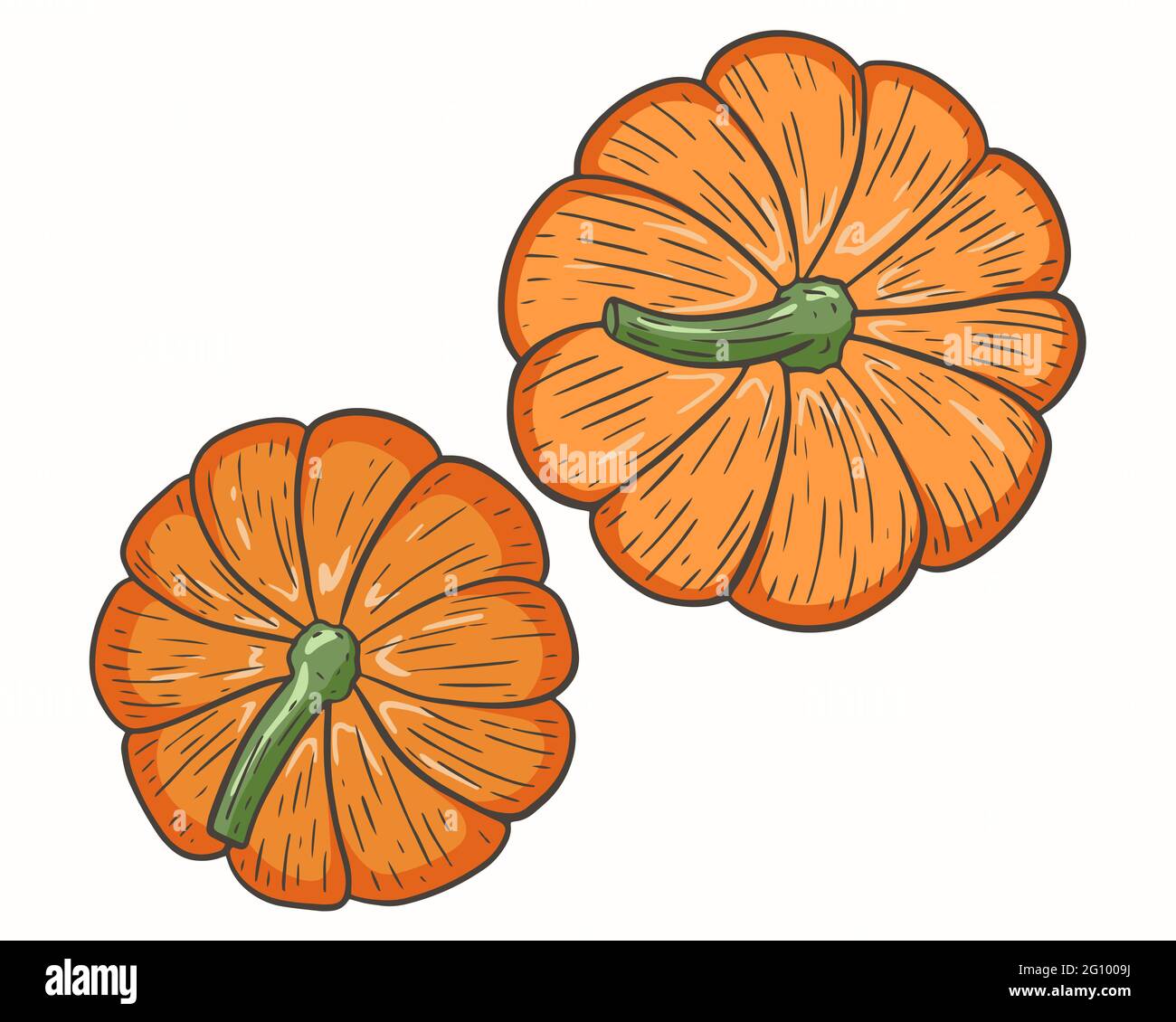 Fall Harvest Drawing