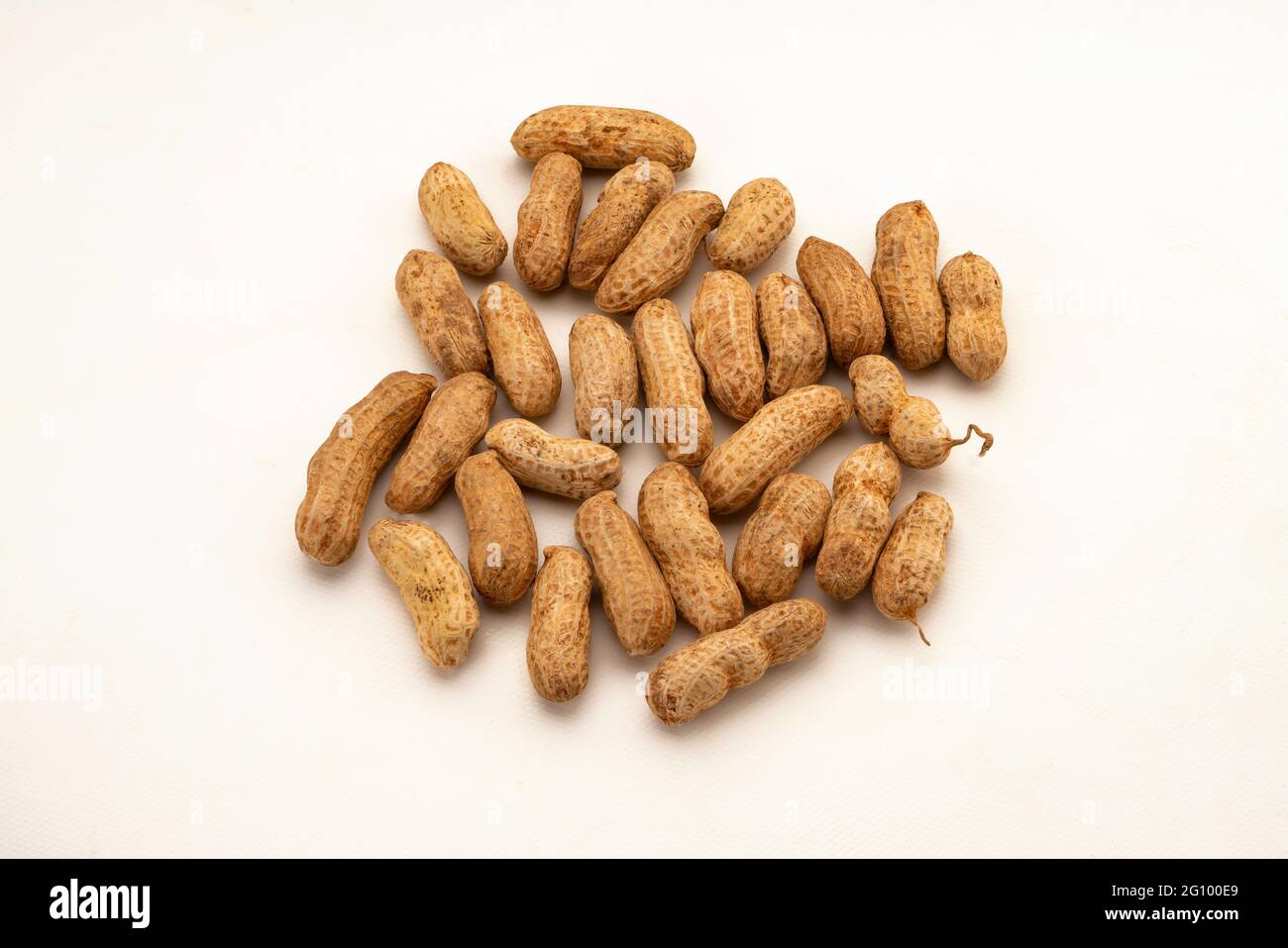 Closeup top view showing group of harvested raw groundnut pods ...