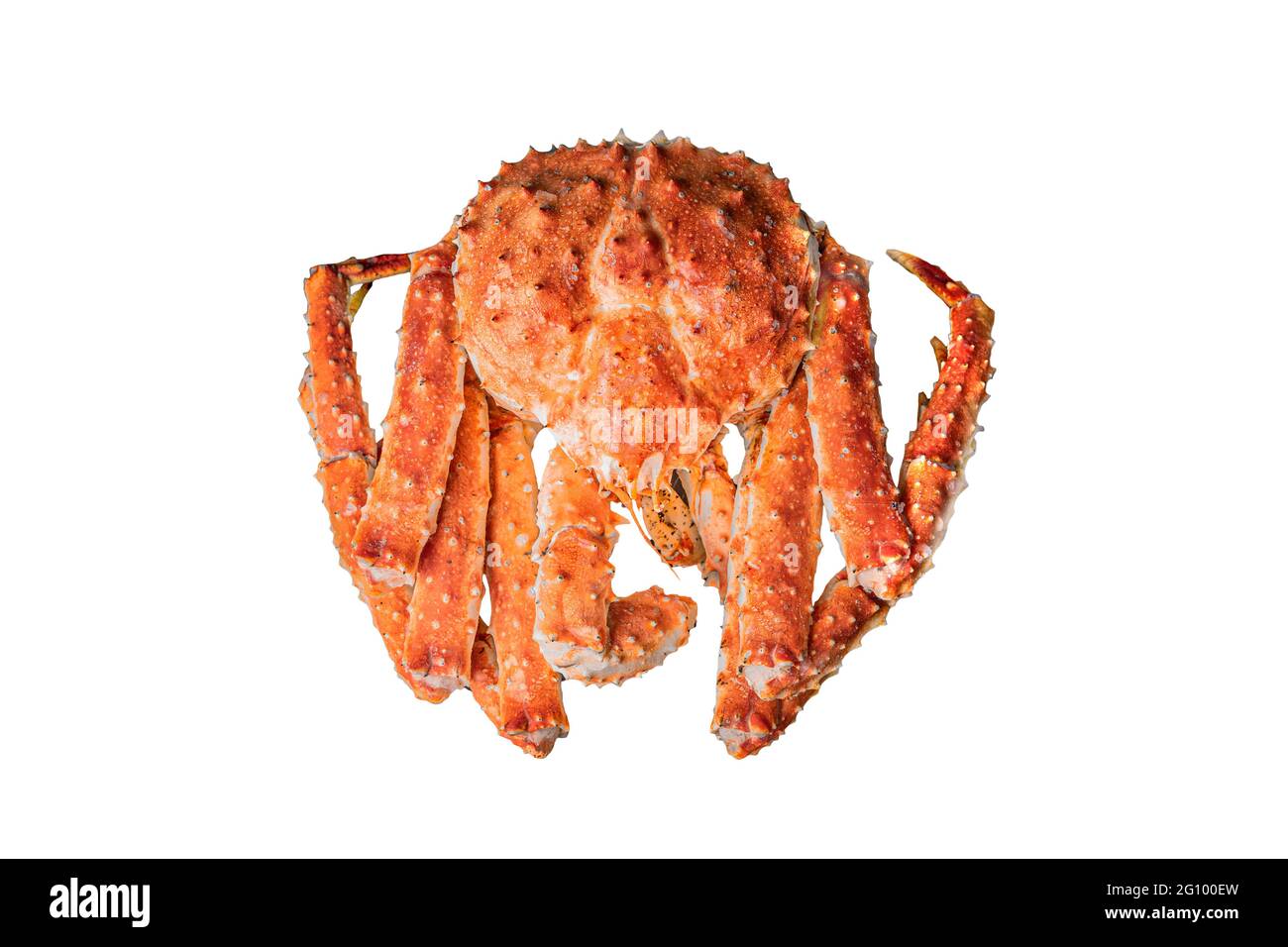 The complete cook Cut Out Stock Images & Pictures - Alamy