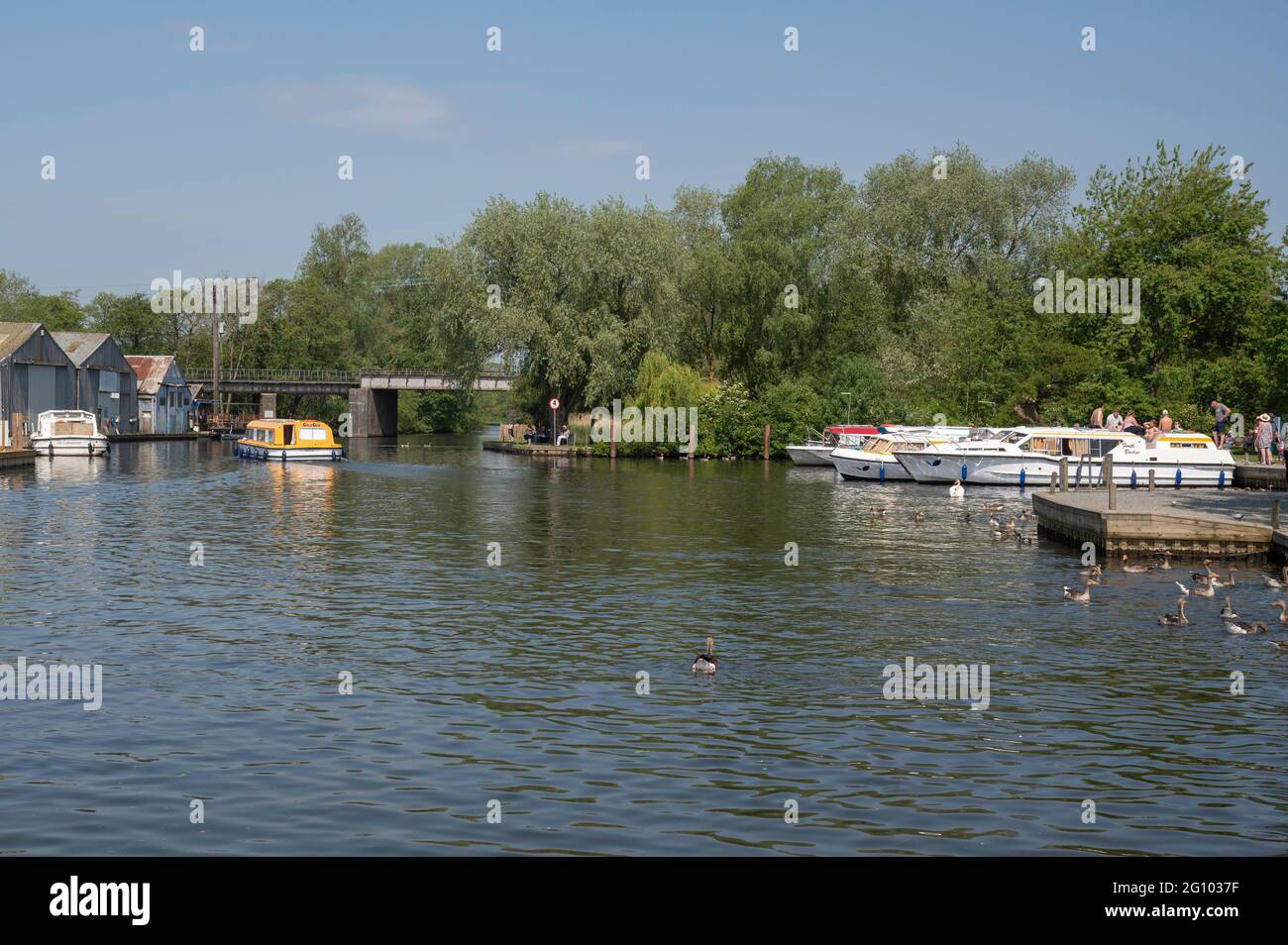 A view of the River Bure Norfolk broads looking from Wroxham Bridge ...
