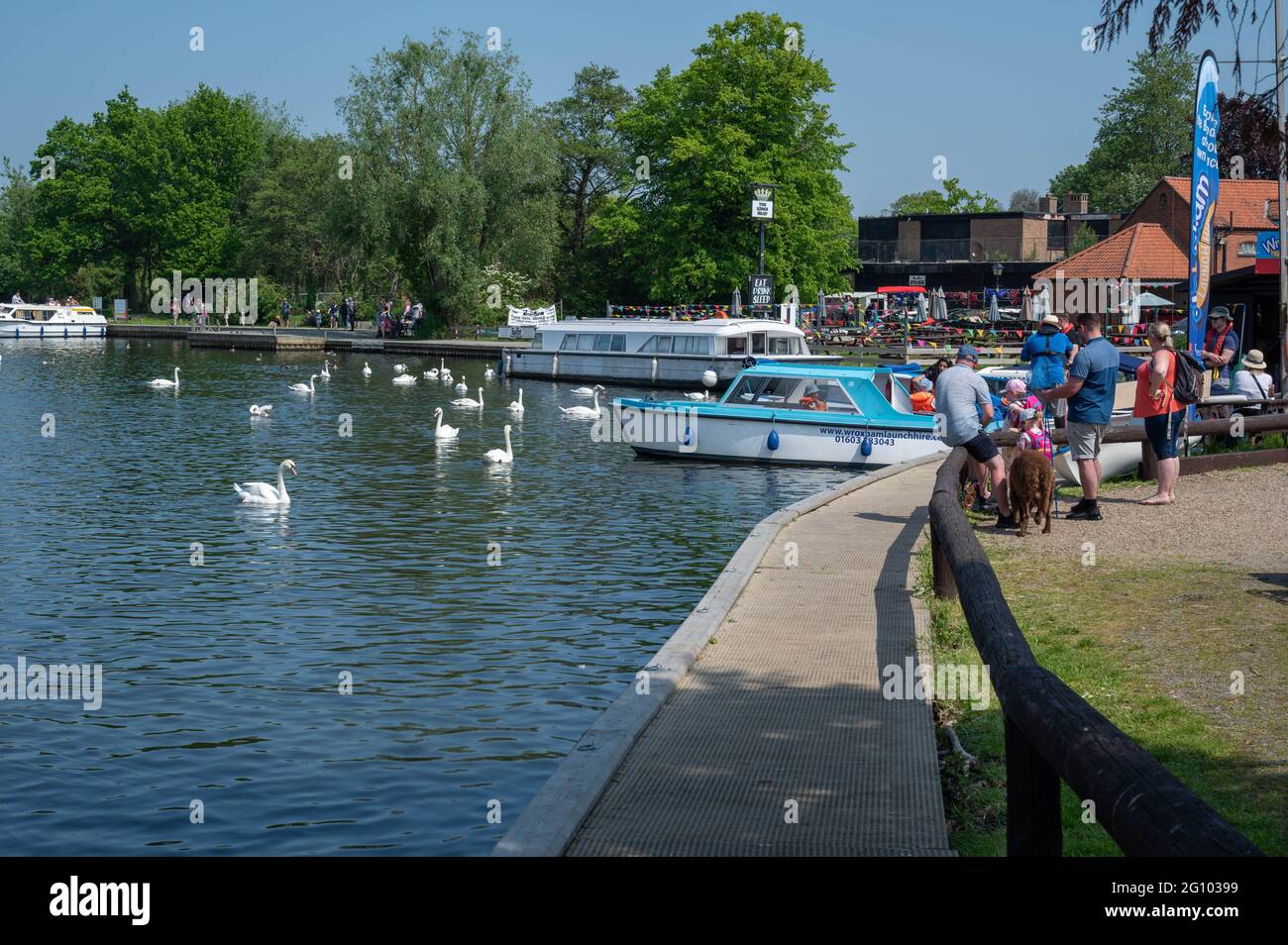 A view of the River Bure Norfolk broads looking from Wroxham Bridge ...