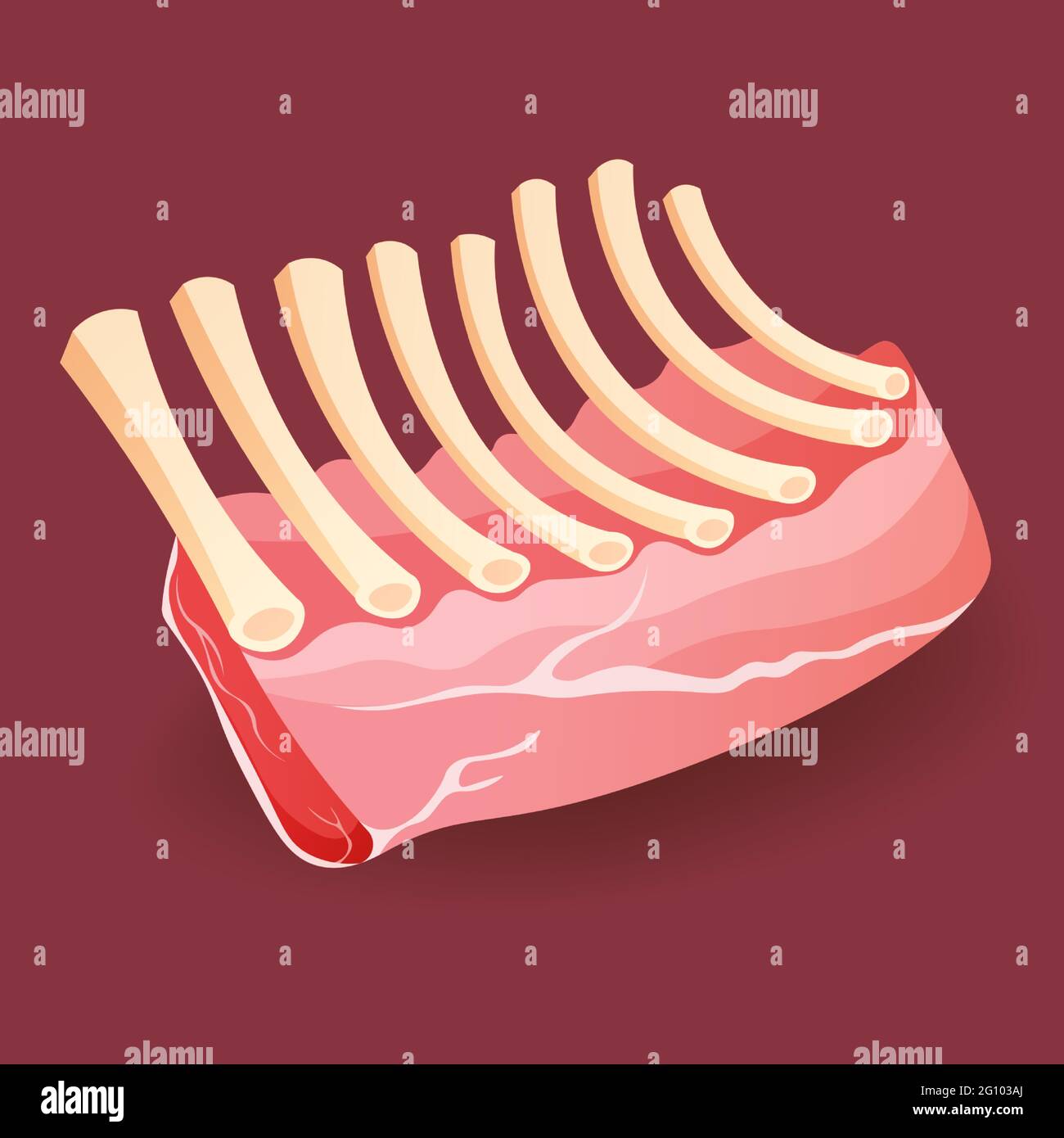 Raw meat - Veal rack Ribs on red background vector illustration Stock ...