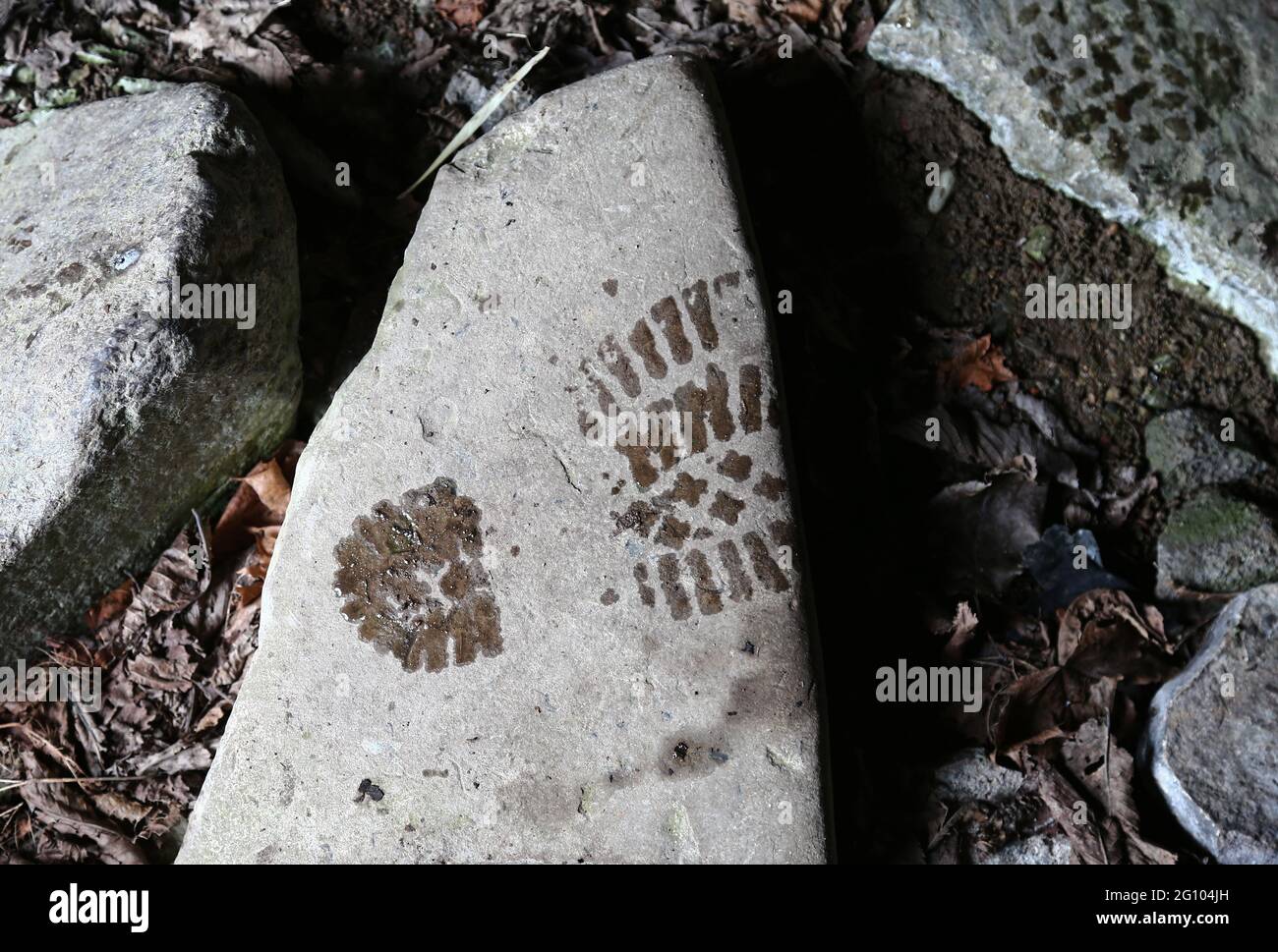 Shoe trails in nature Stock Photo - Alamy