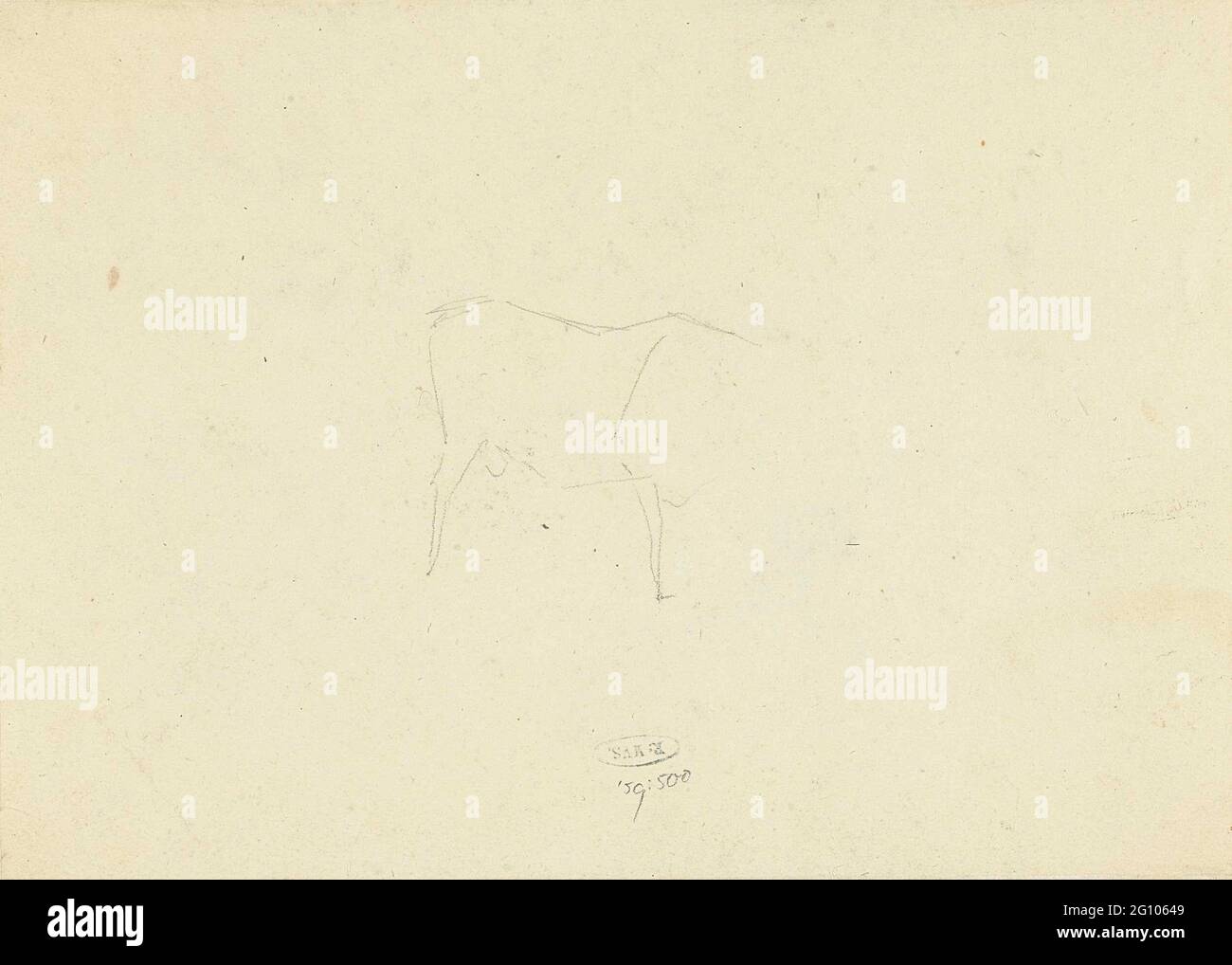 Sketch of a beef Stock Photo - Alamy