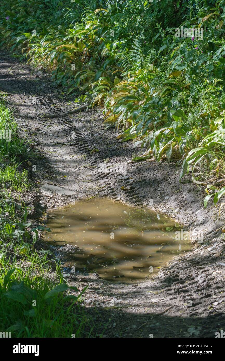 Murky rough water hi-res stock photography and images - Alamy