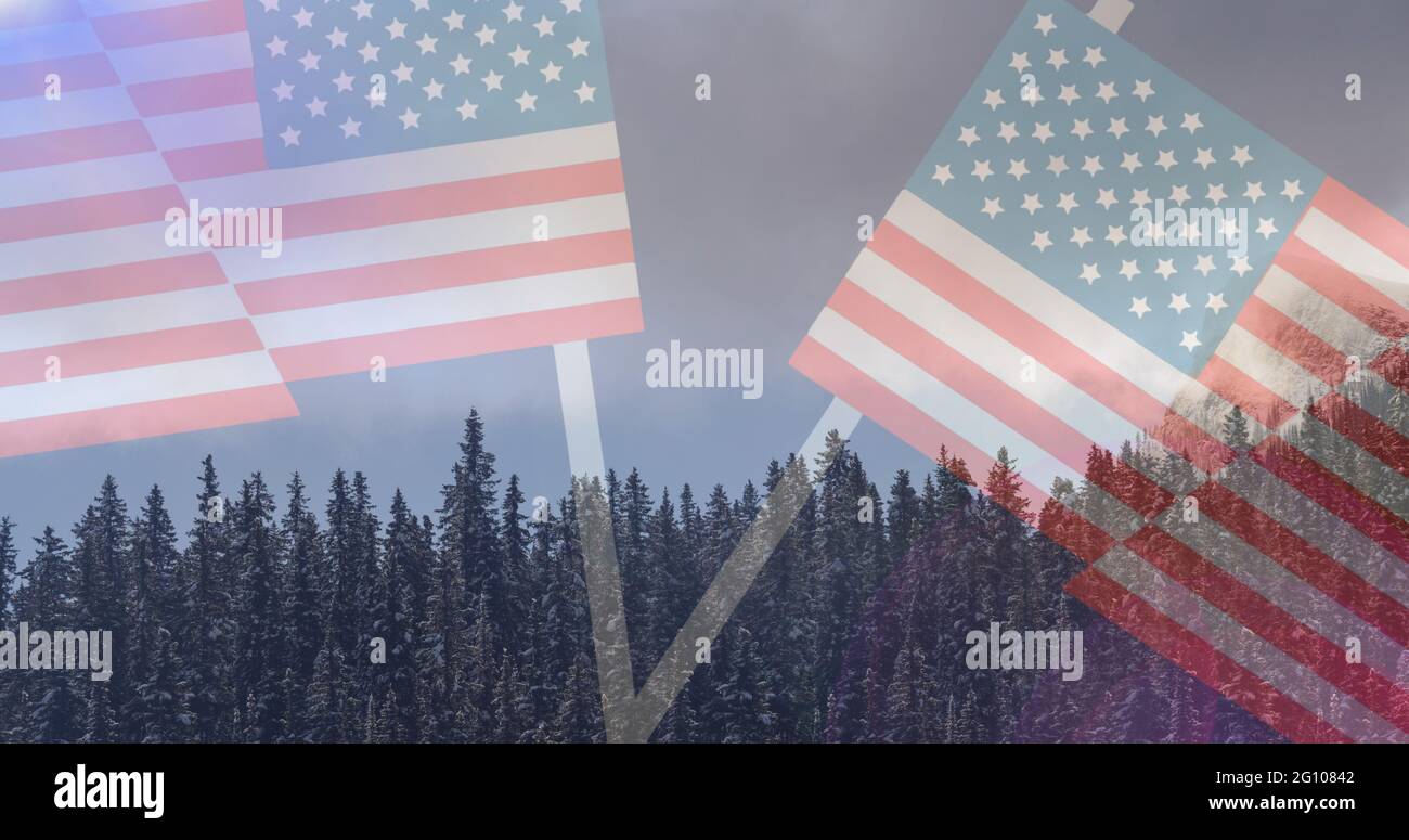 Composition of forest and sky over american flags Stock Photo - Alamy