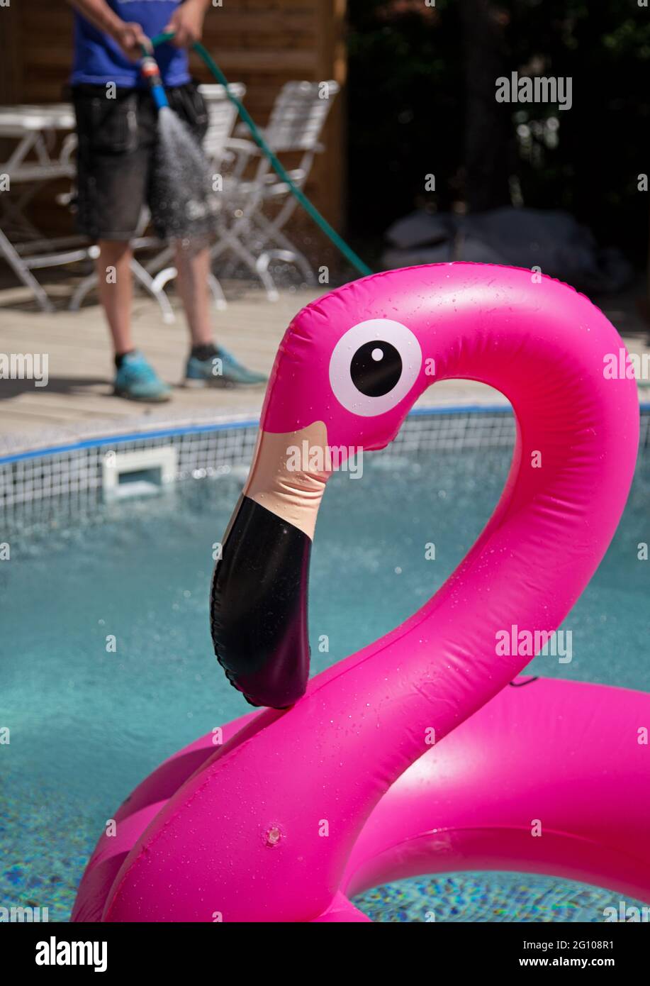 Someone refilling water in a pool in a garden Stock Photo - Alamy