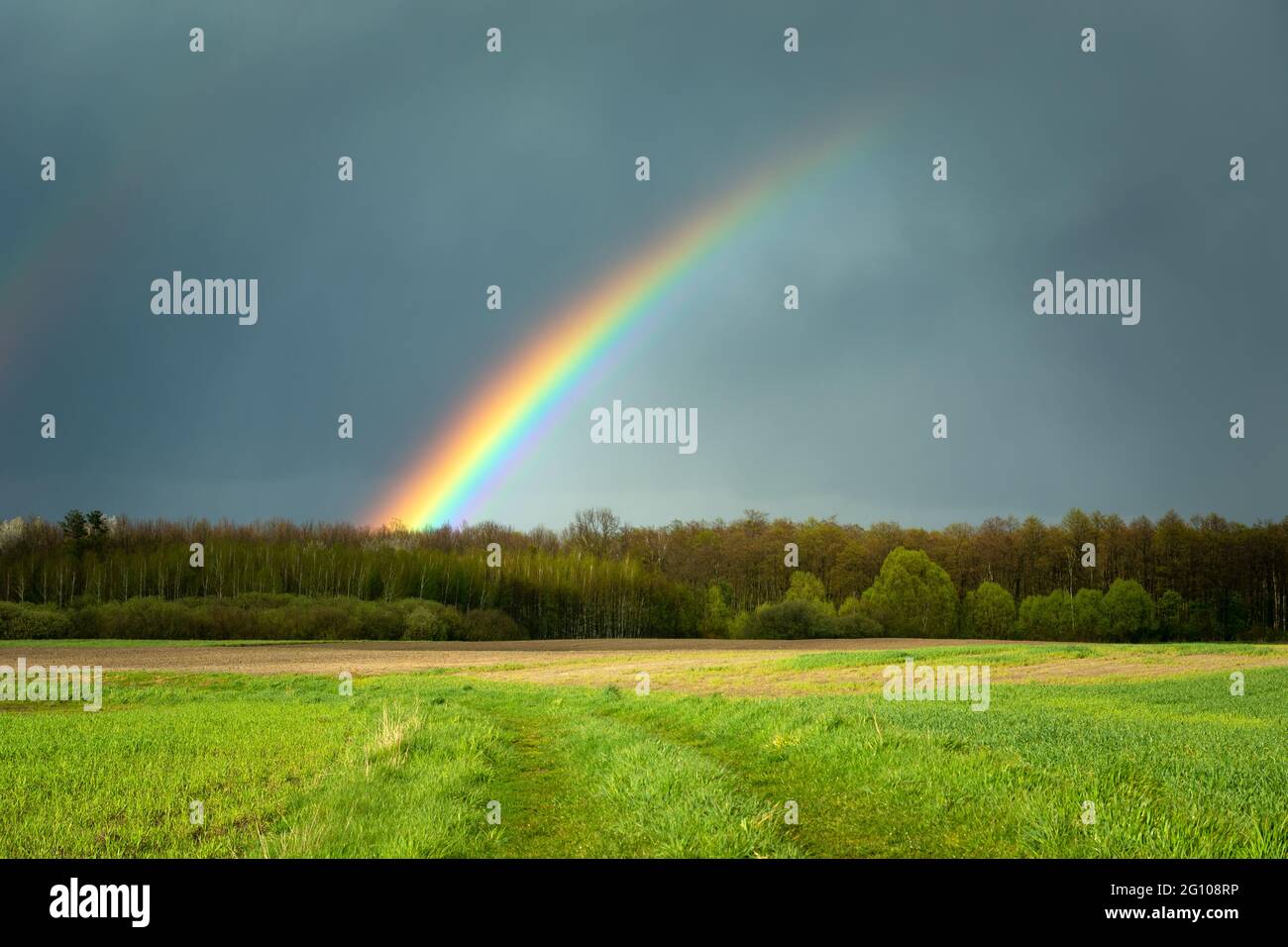 Rainbow over the forest hi-res stock photography and images - Alamy