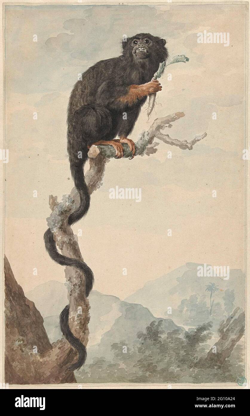 Refined execution hi-res stock photography and images - Alamy