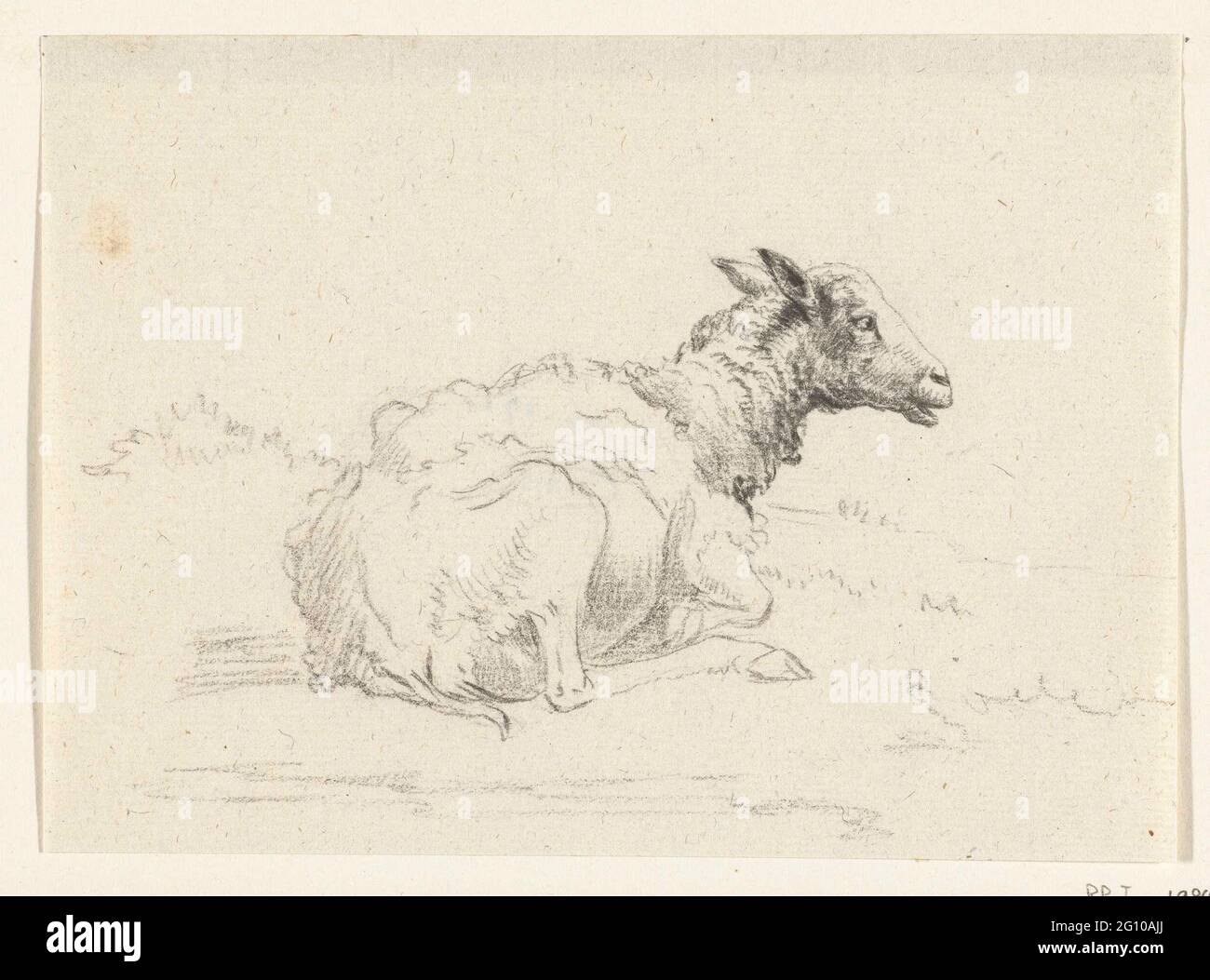 Lying laying down position posture hi-res stock photography and images ...