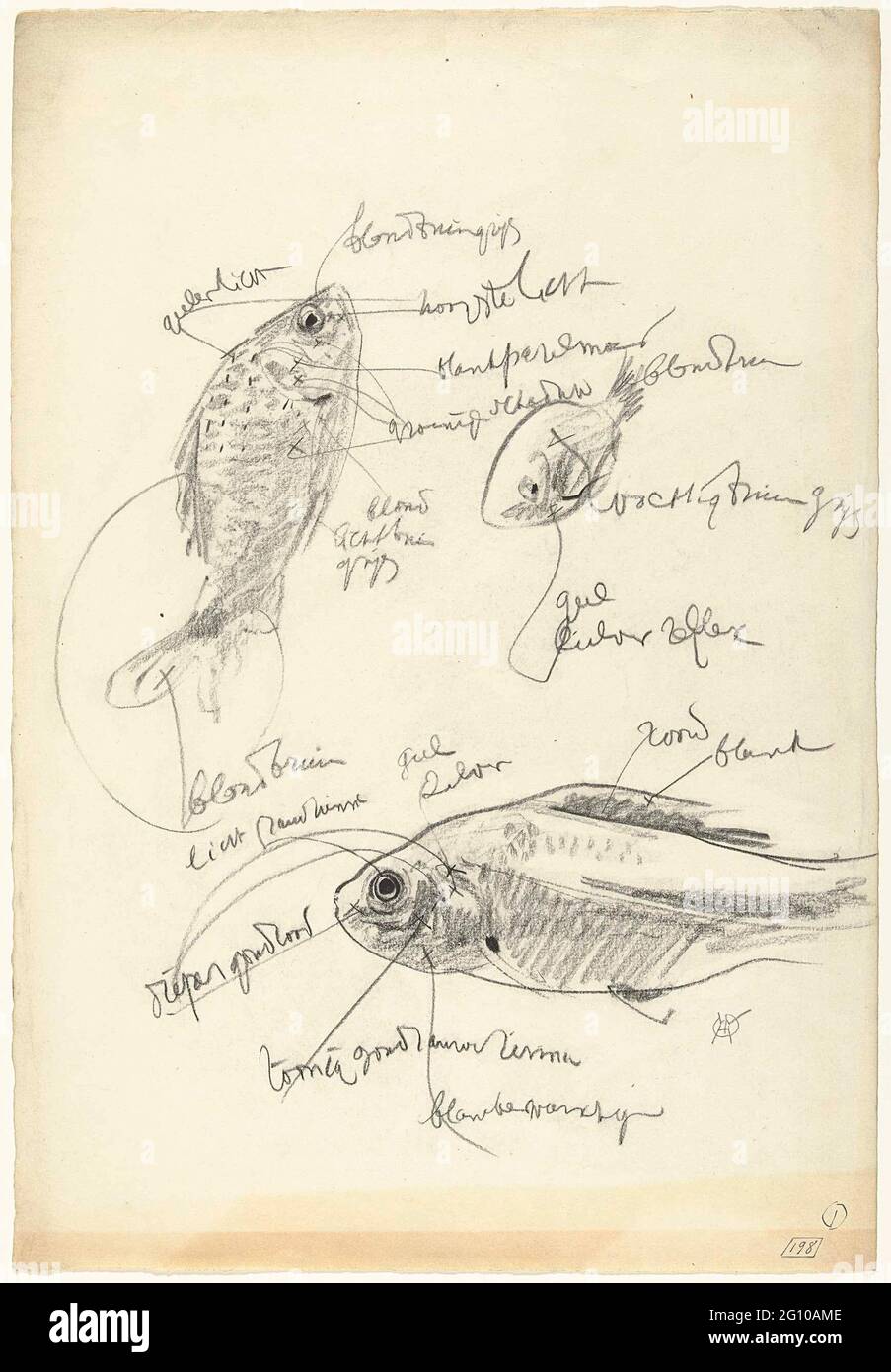 Three fish, with color notes Stock Photo - Alamy