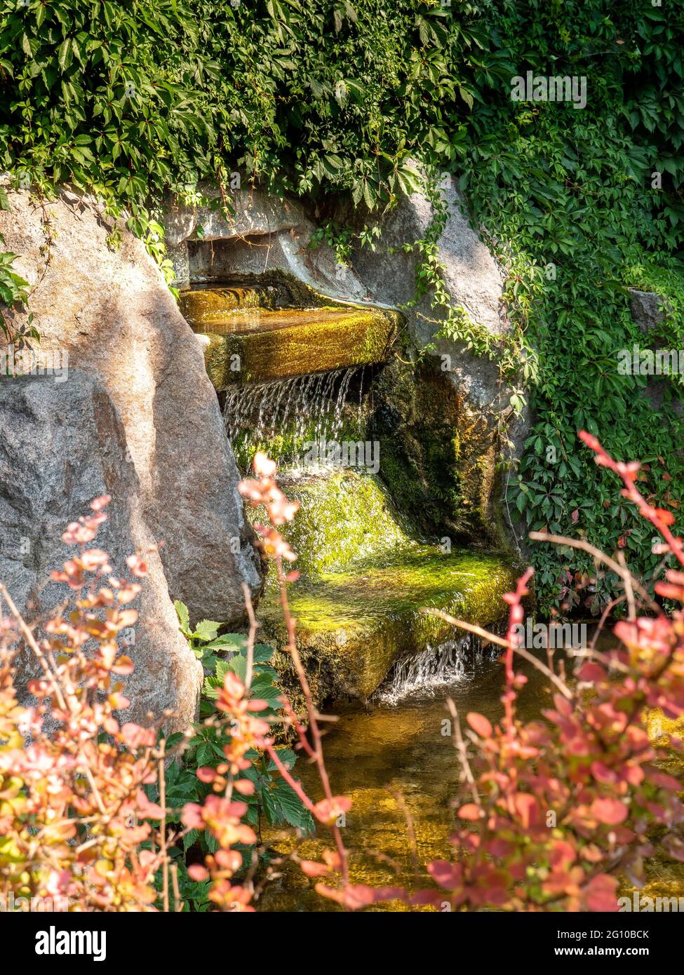View through red bushes over waterfall fountain amidst crawling ...