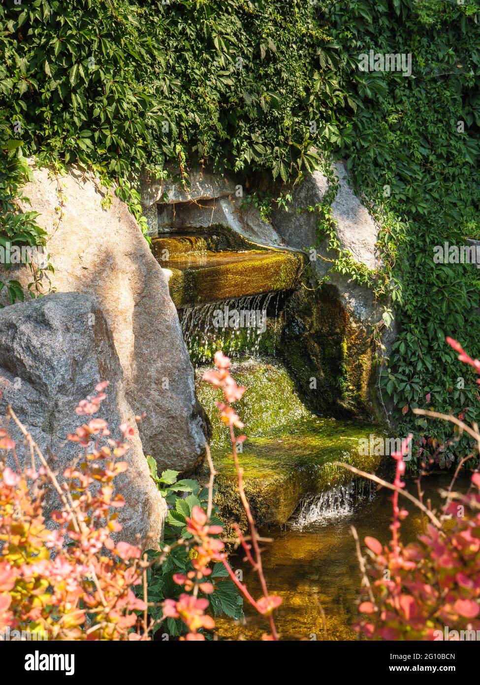 View through red bushes over waterfall fountain amidst crawling ...