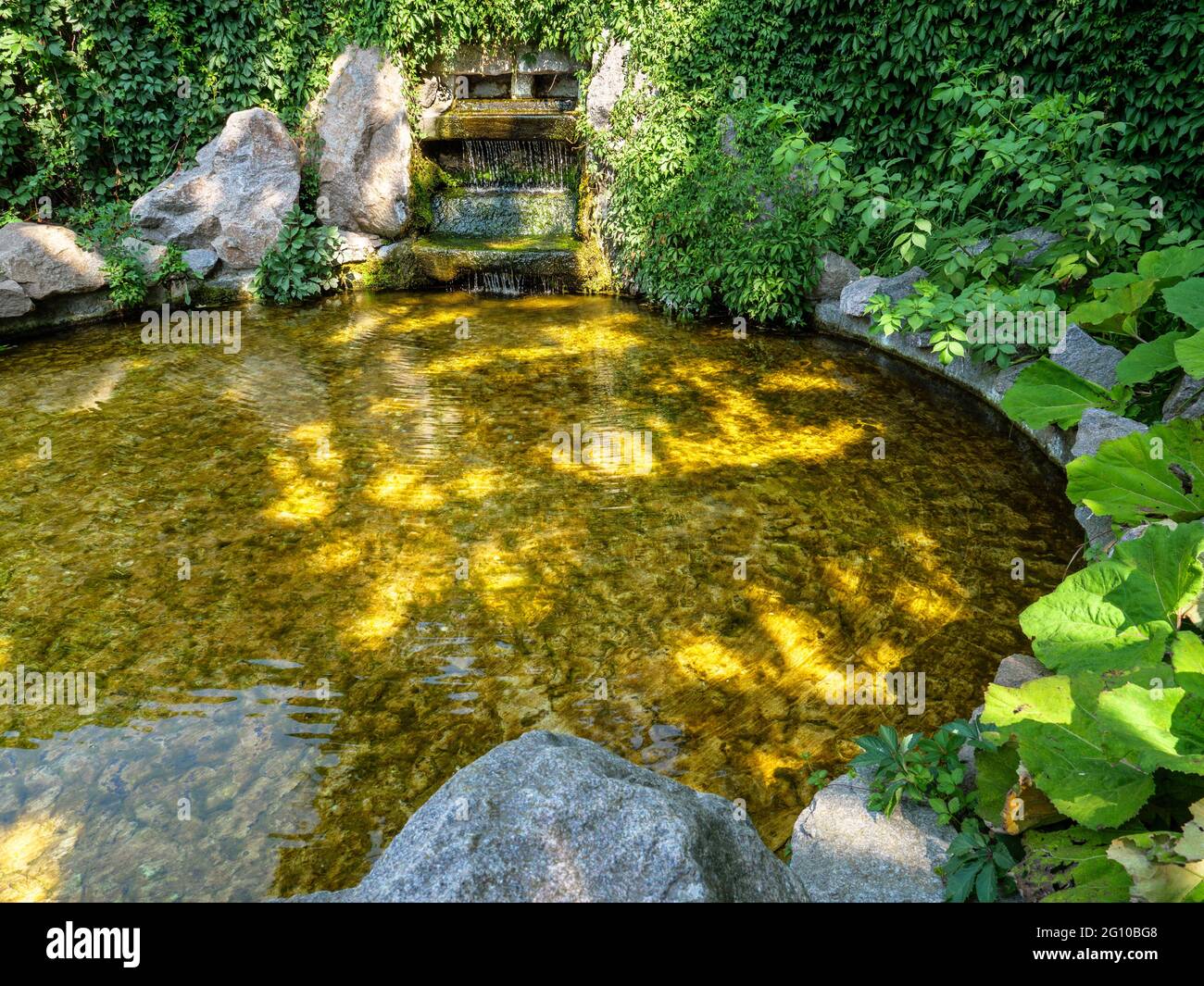 View through foliage over waterfall fountain amidst crawling greenery ...