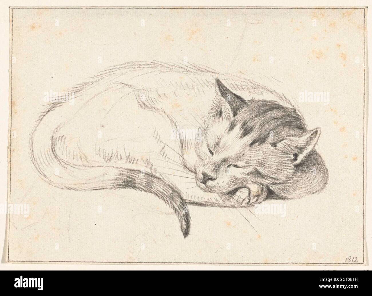 Rolled up, sleeping cat Stock Photo - Alamy