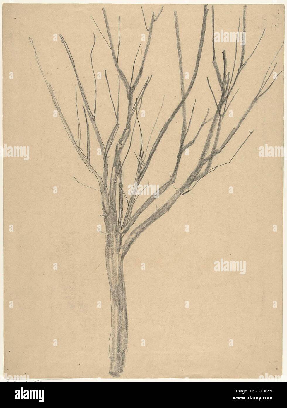 Kale boom hi-res stock photography and images - Alamy