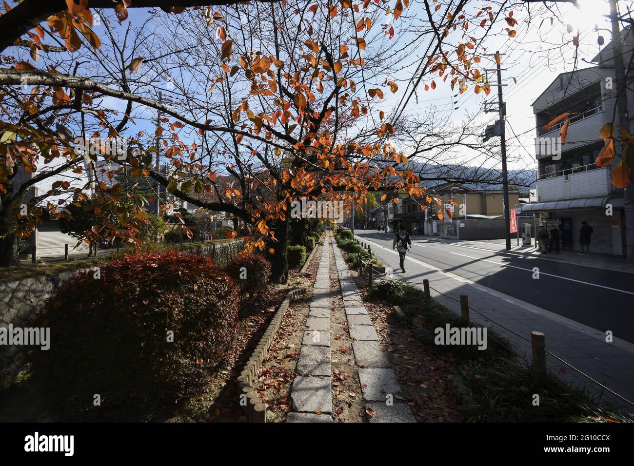 Philosopher's Path with autumn leave in Kyoto Stock Photo - Alamy