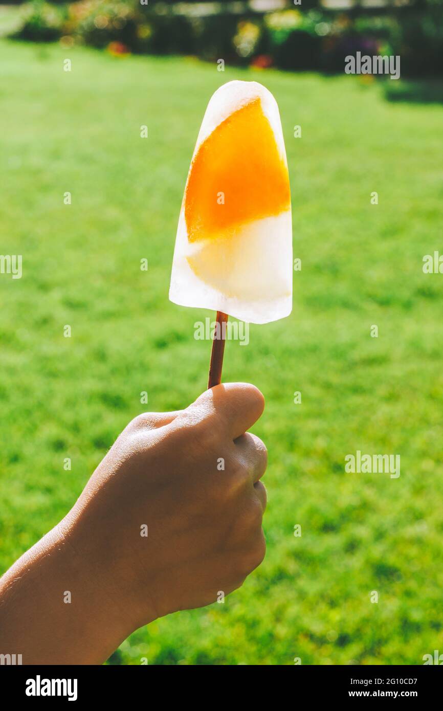 Frozen popsicles on stick in child's hand on background of green grass ...