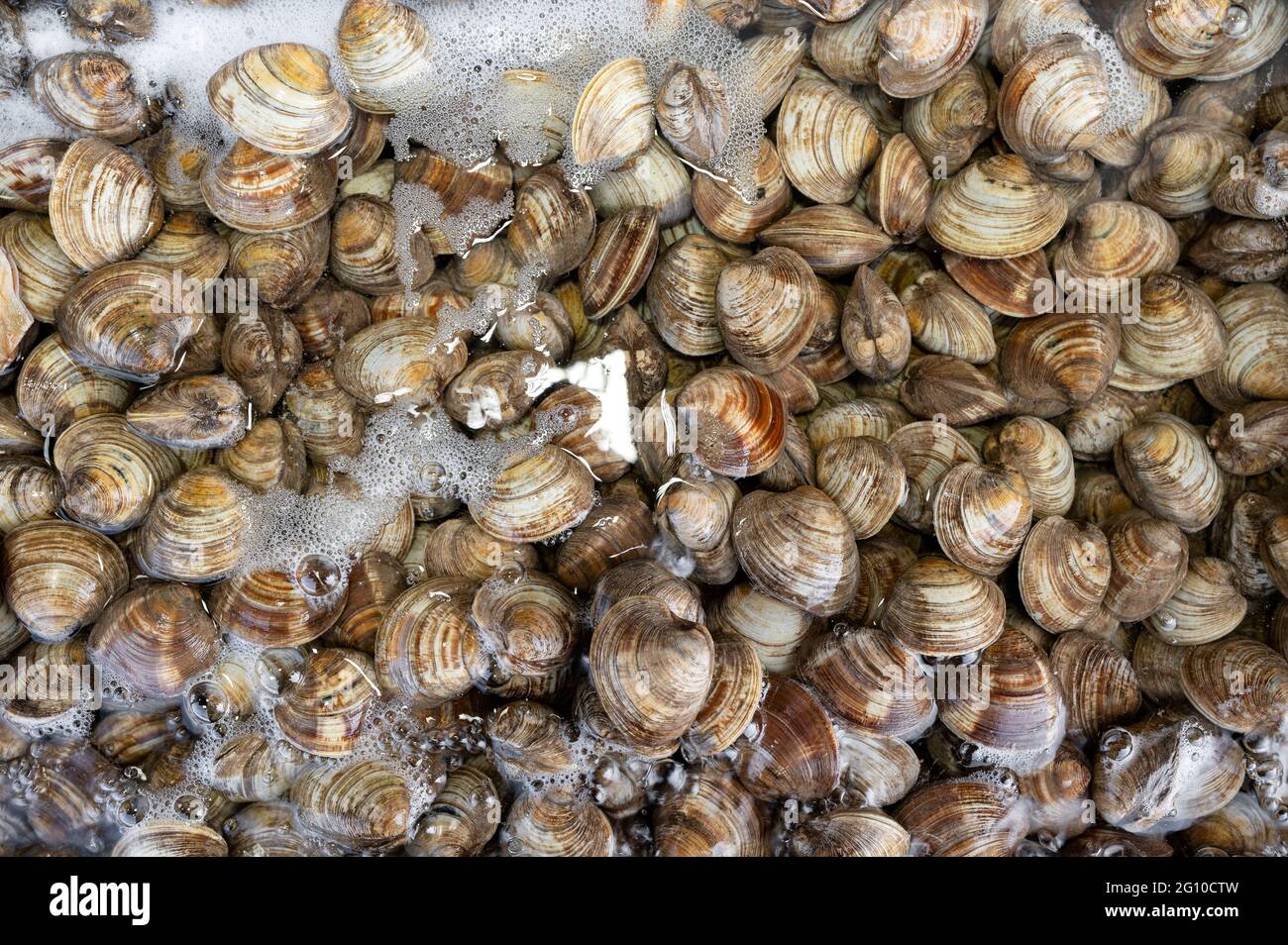 Soaked seafood hi-res stock photography and images - Alamy