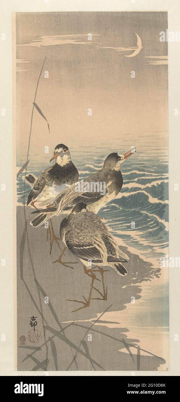 Oil runners at sickle moon. Three birds at waterfront with reeds and ...