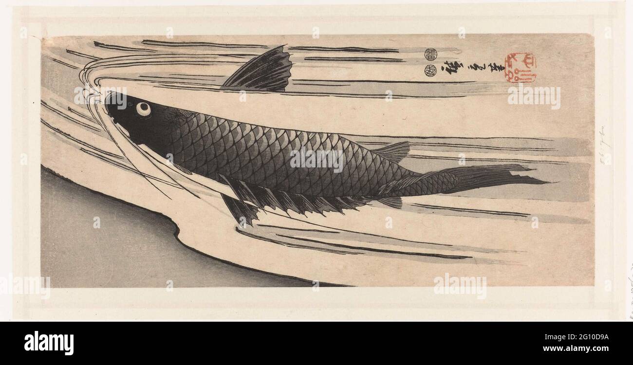 Carp swarmed against a waterfall Stock Photo - Alamy