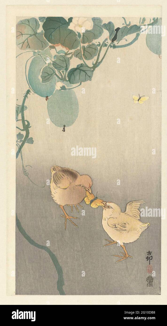 Two chicks fighting to butterfly. Two chicks, each pulling on the wing ...