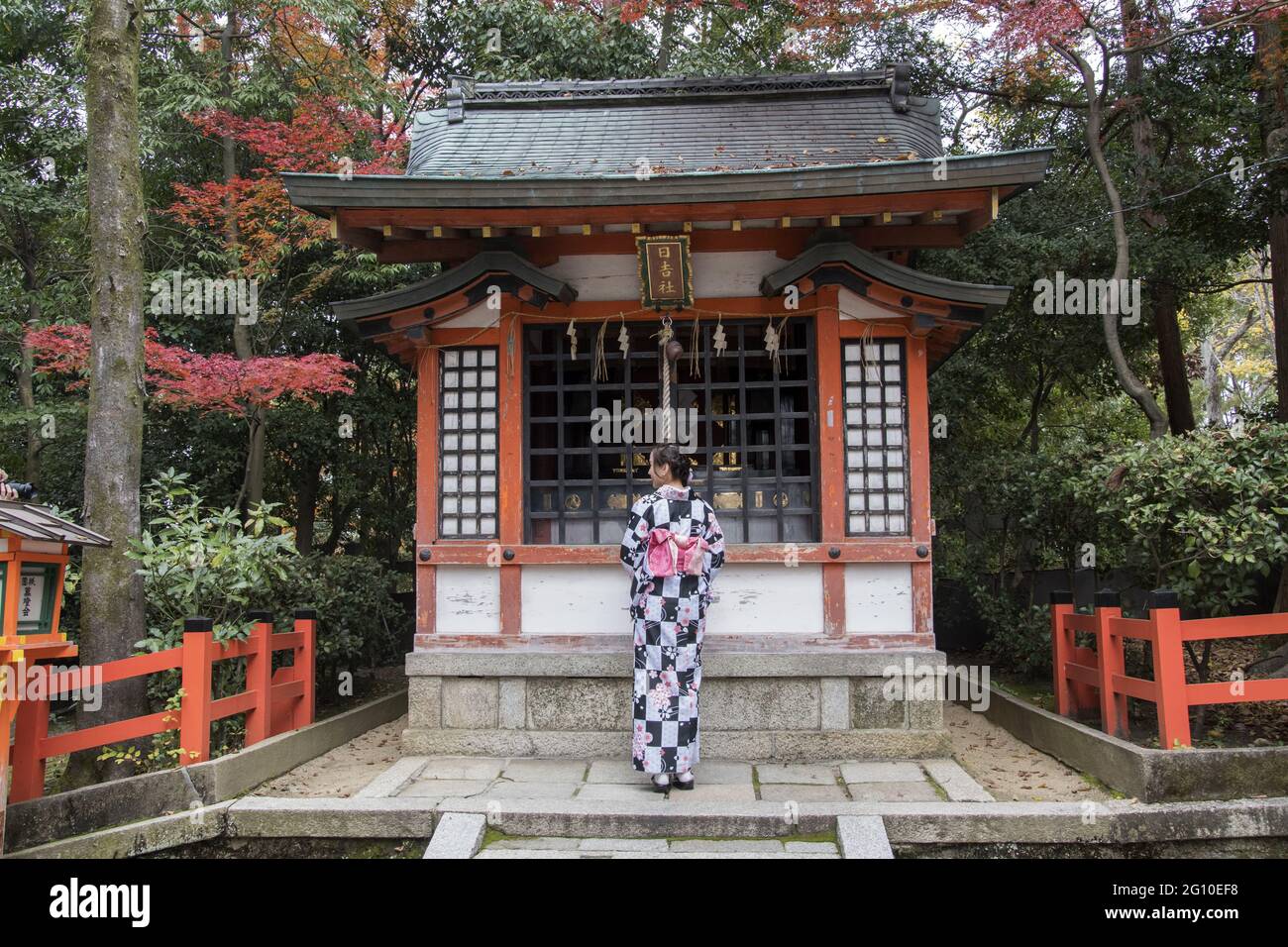 KYOTO, JAPAN - Dec 16, 2019: Kyoto, Japan- 27 Nov, 2019: Woman in ...