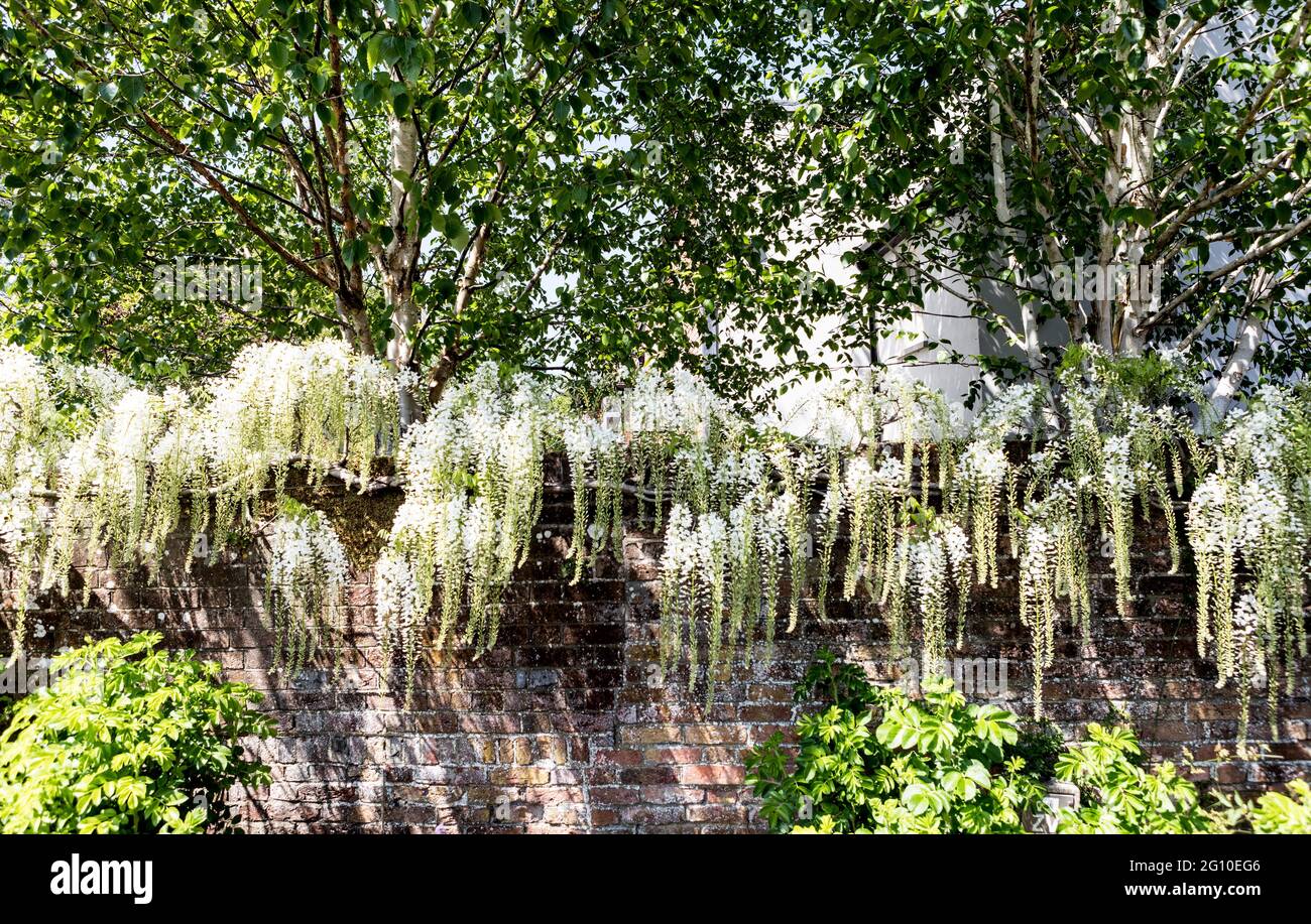 Salisbury nature hi-res stock photography and images - Alamy