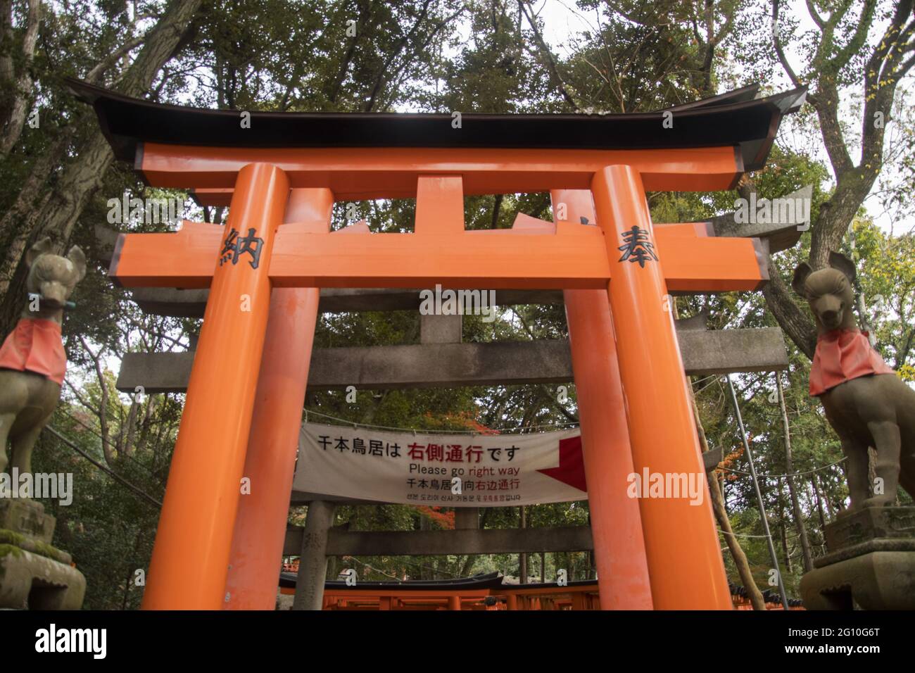 KYOTO, JAPAN - Dec 13, 2019: Kyoto, Japan- 25 Nov, 2019: Red torii at ...