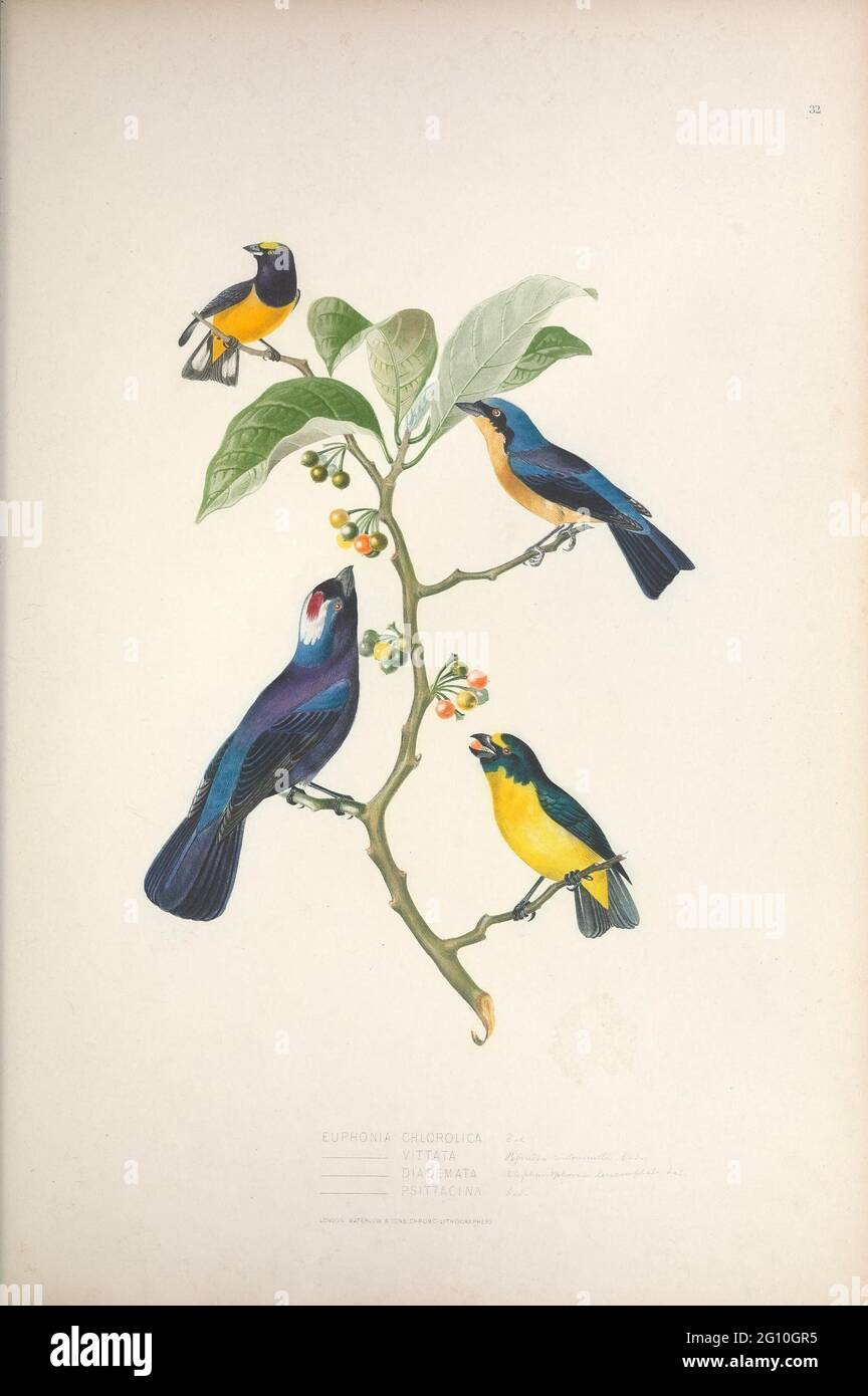 Songs of 1854 hi-res stock photography and images - Alamy