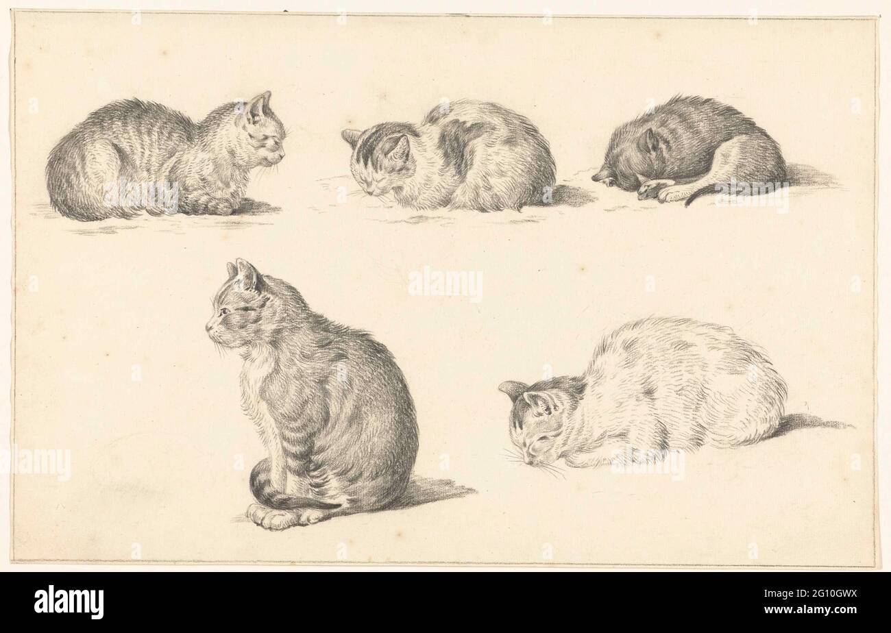 Fives studies hi-res stock photography and images - Alamy