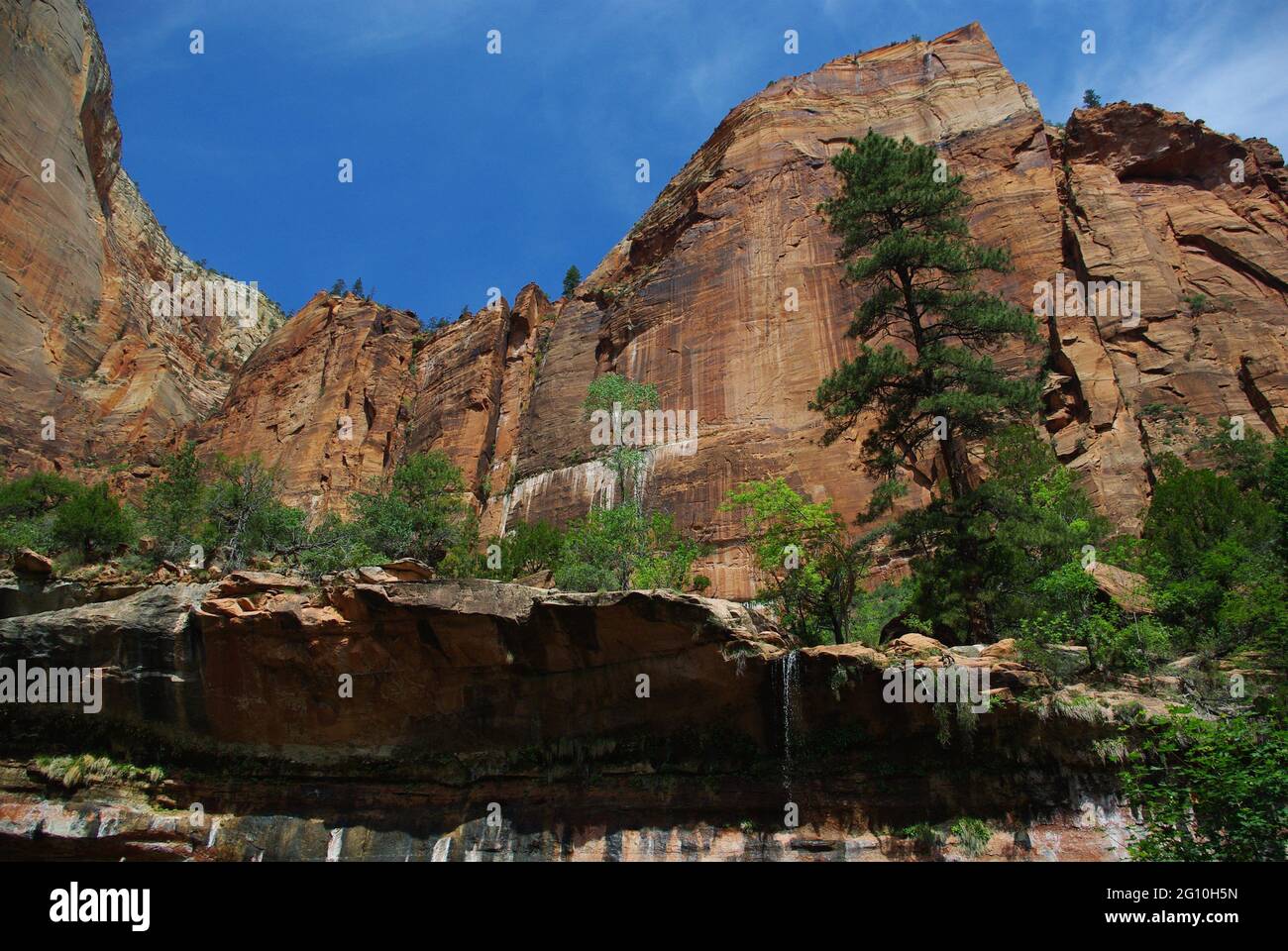 Canyon wall with small waterfall above the Zion River, Zion National ...