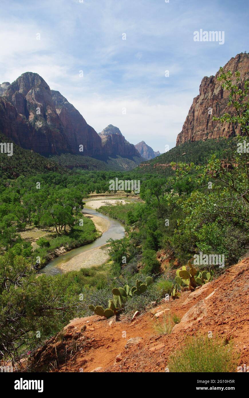 Canyon and Zion River, Zion National Park, Utah, USA Stock Photo - Alamy