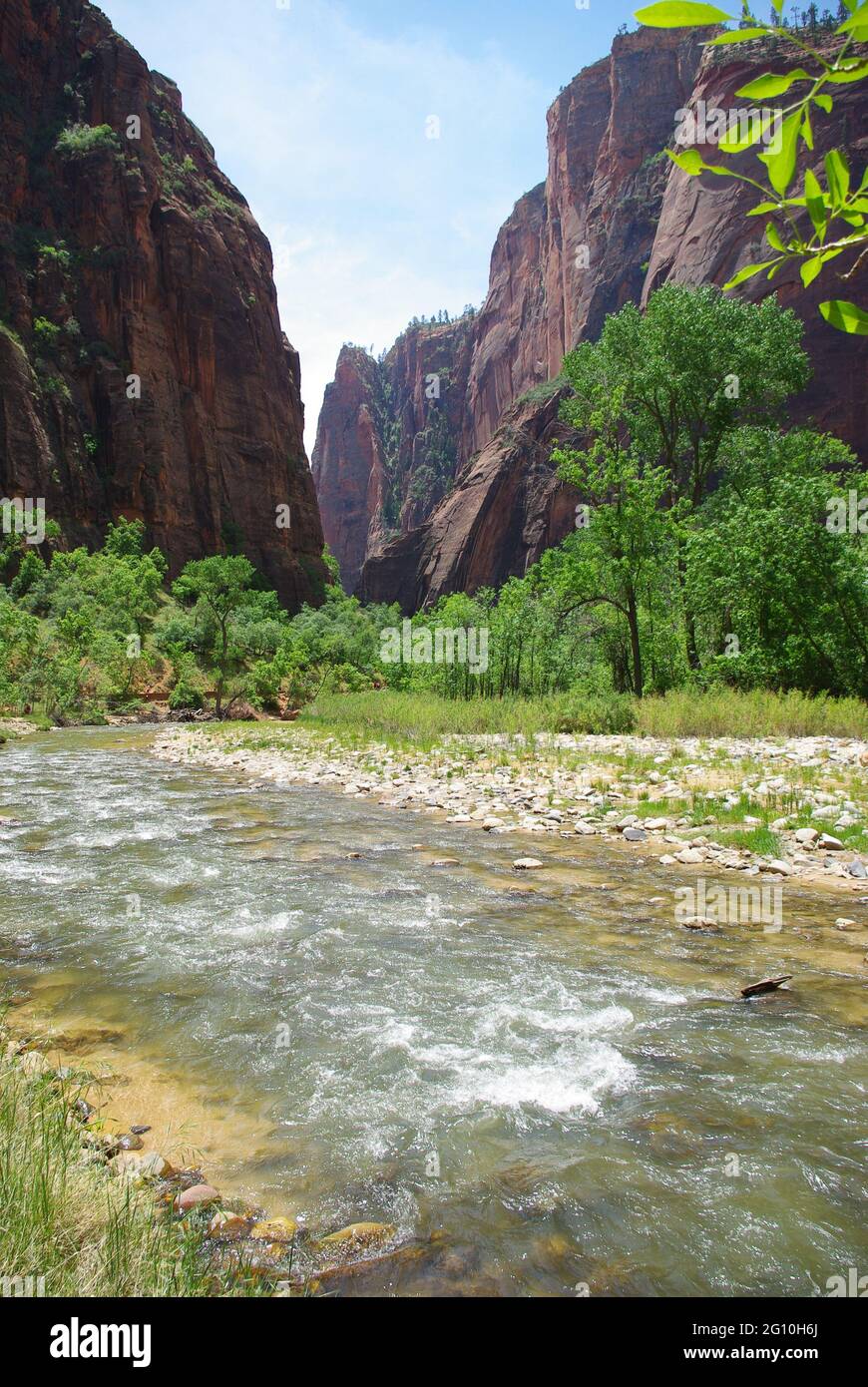 Rapids on the Zion River, Zion National Park, Utah, USA Stock Photo - Alamy