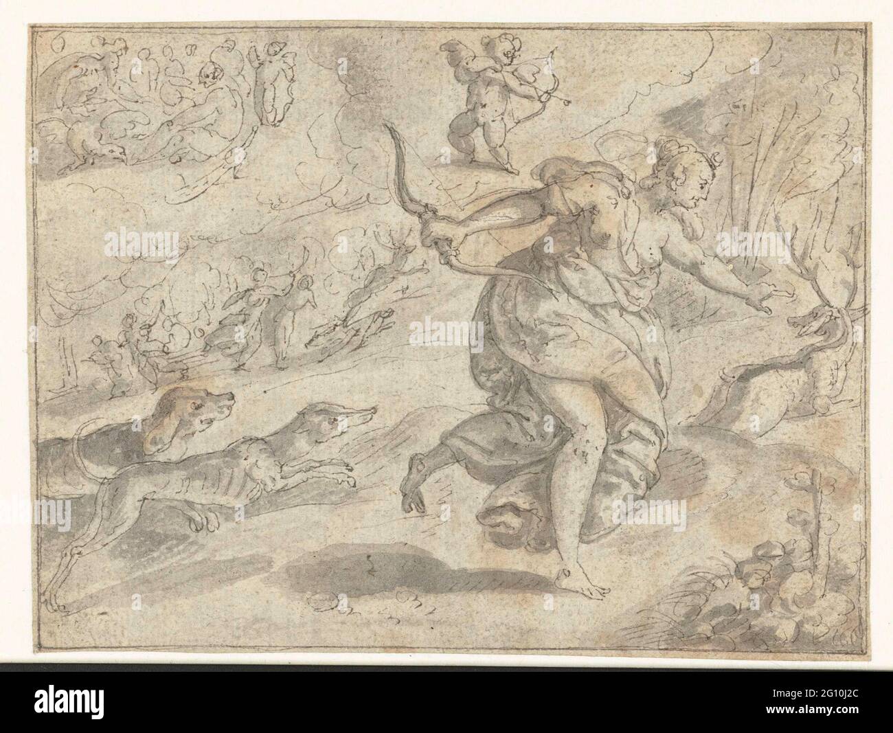 A parvus hi-res stock photography and images - Alamy