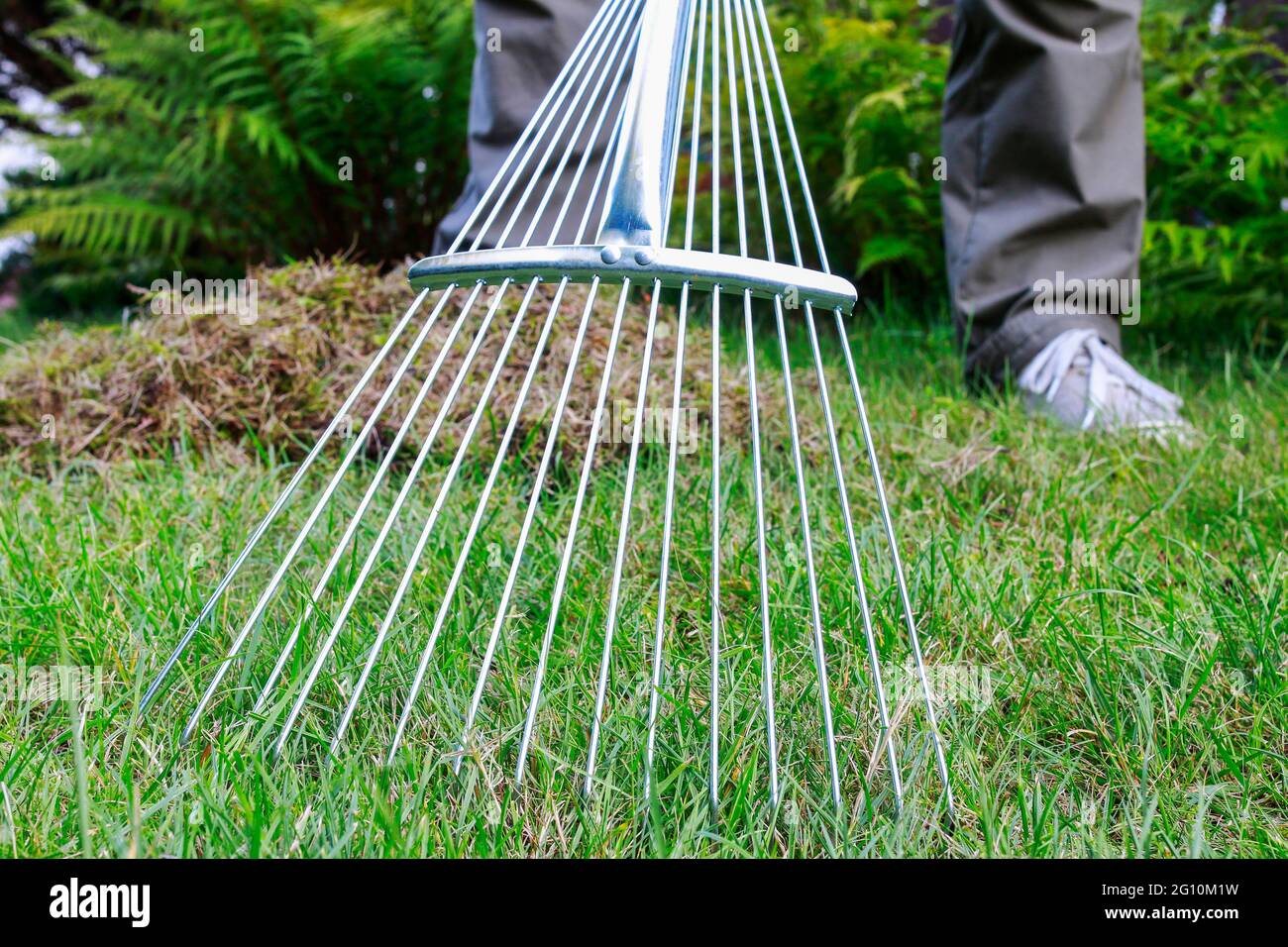 Lawn raking. Work in the garden. Summer time Stock Photo - Alamy