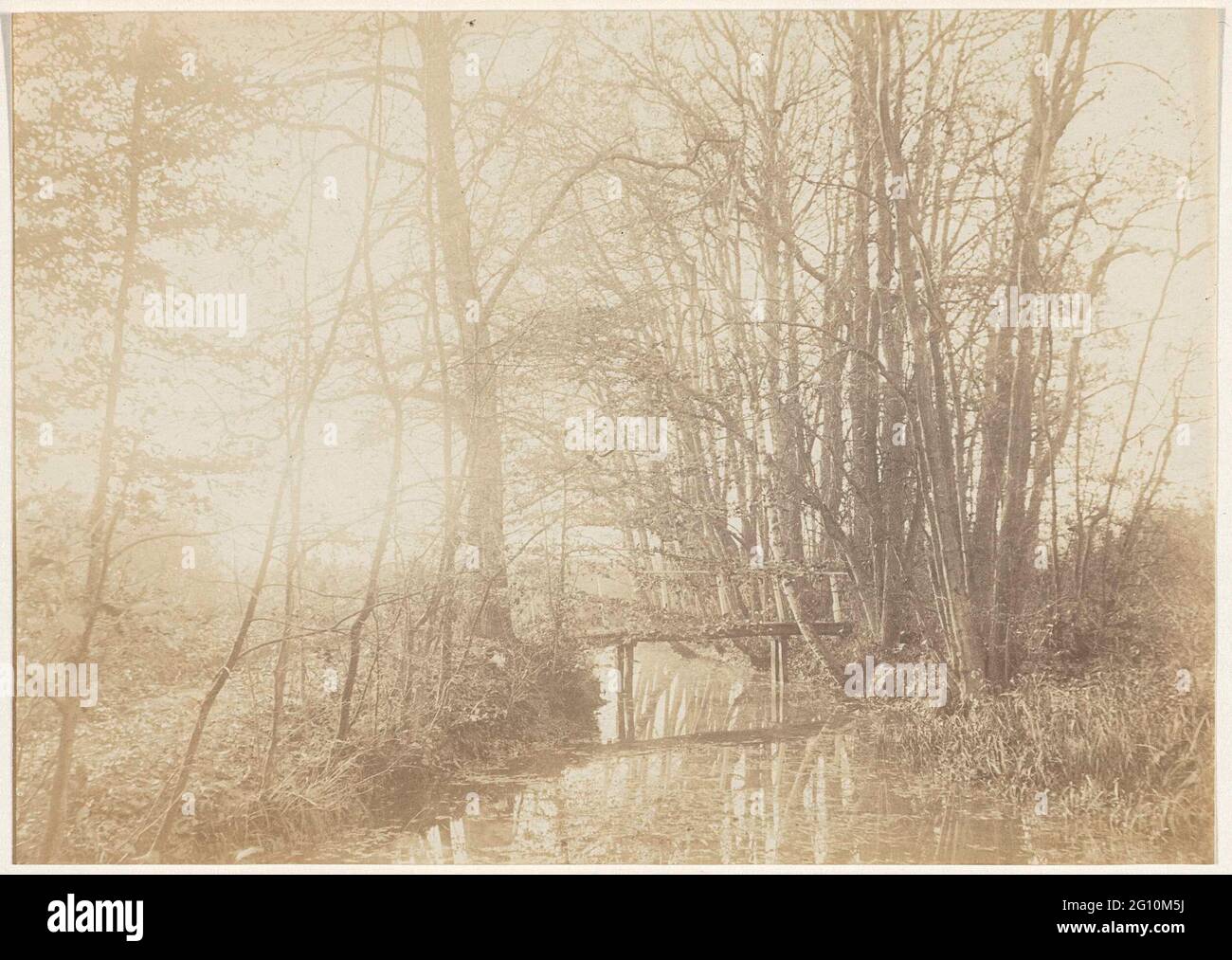 Forest landscape with stream and bridge Stock Photo - Alamy