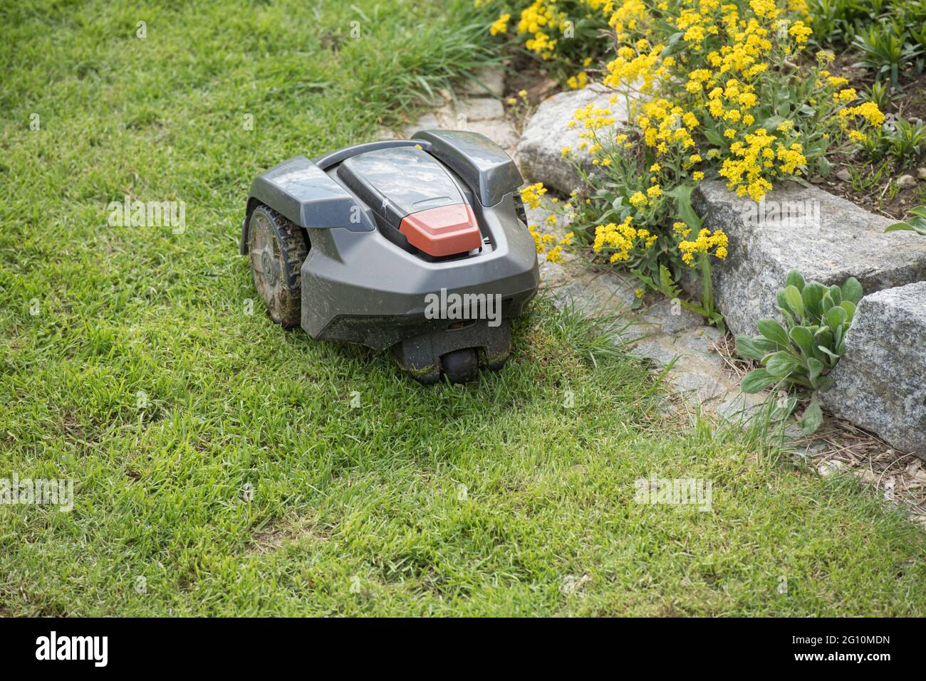 Lawn mower cutting grass. Work alone in the garden - robot Stock Photo ...