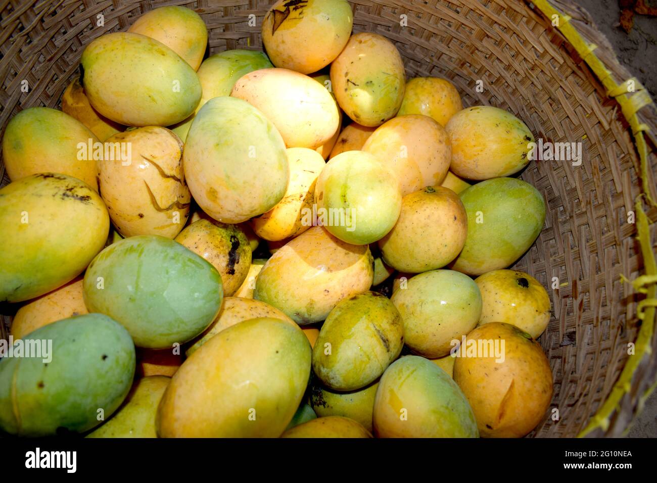 Delicious organic fresh mango Display on Basket Stock Photo - Alamy