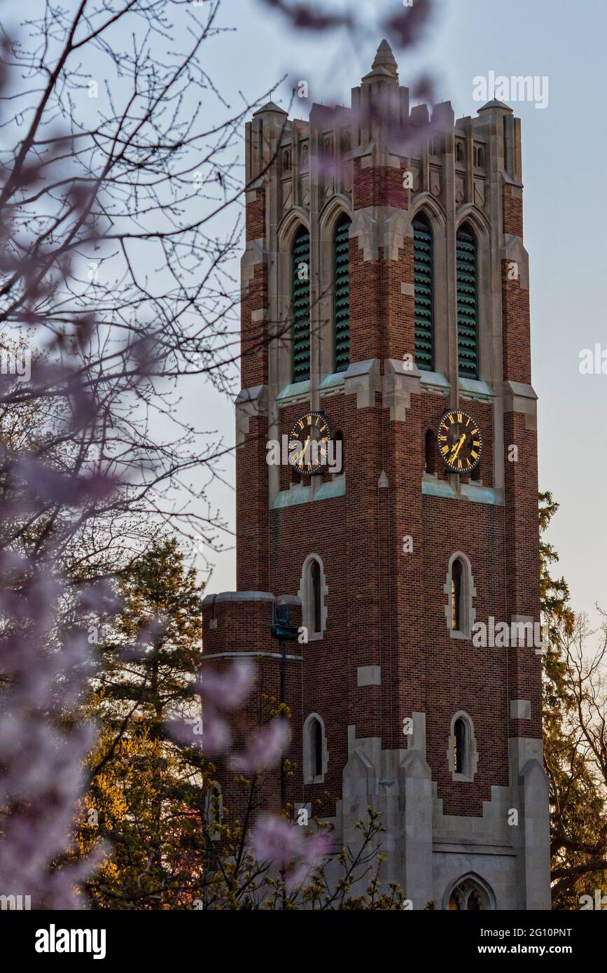 Landmark Beaumont Tower carillon on the campus of Michigan State ...