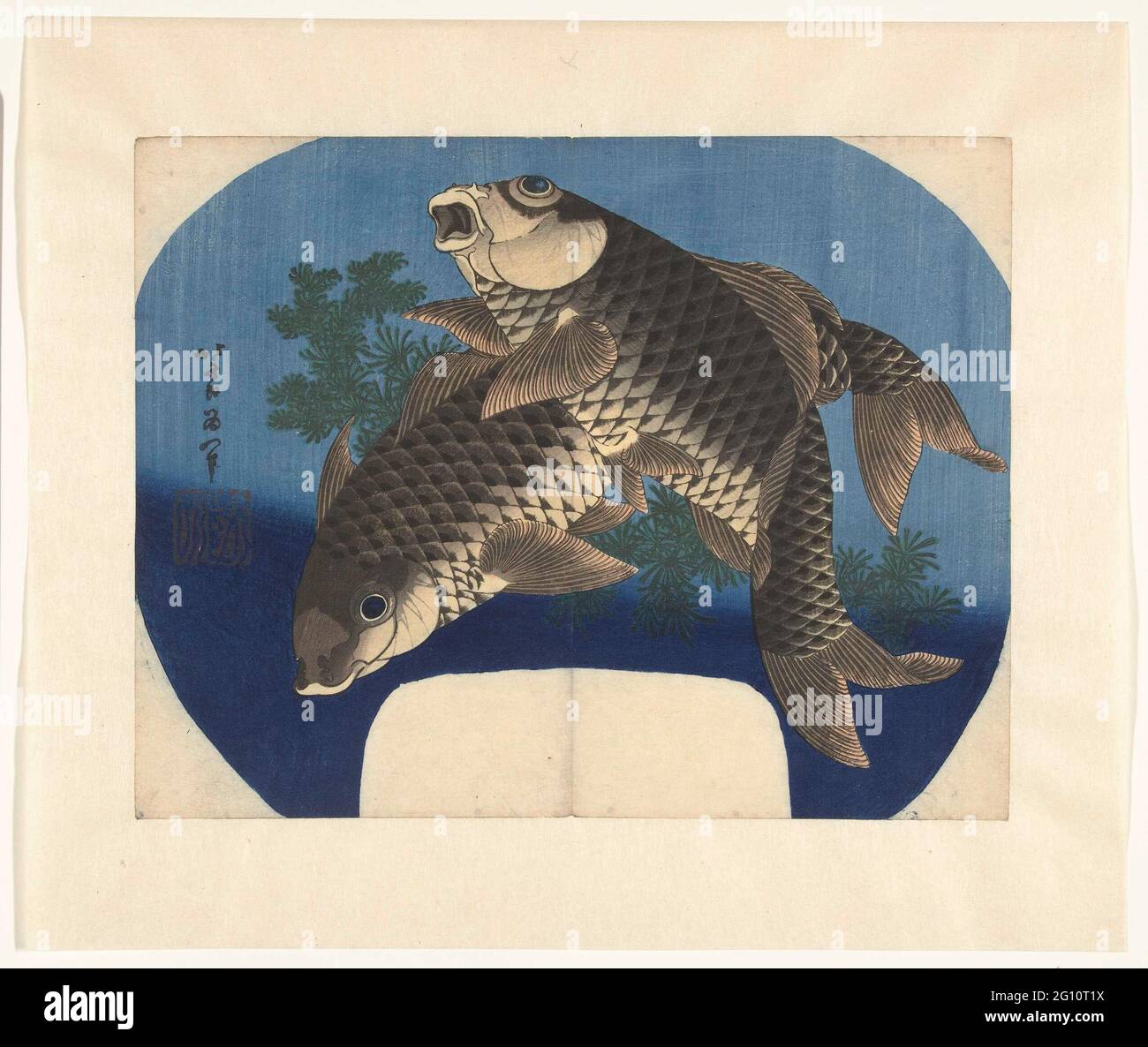 Two carp. Landscaping on which two gray carps against blue background ...