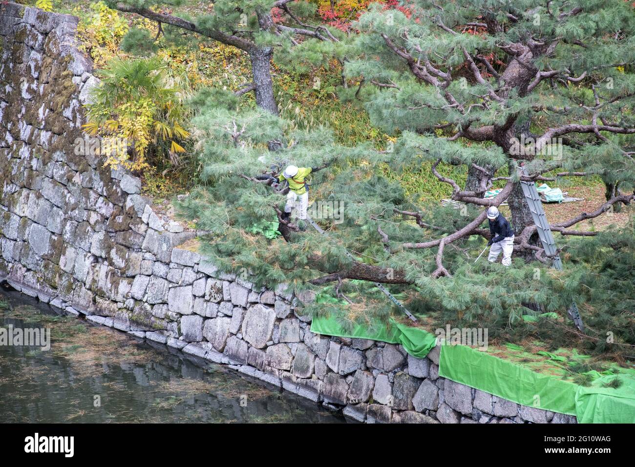 KYOTO, JAPAN - Dec 30, 2019: Kyoto, Japan- 25 Nov, 2019: Gardeners ...