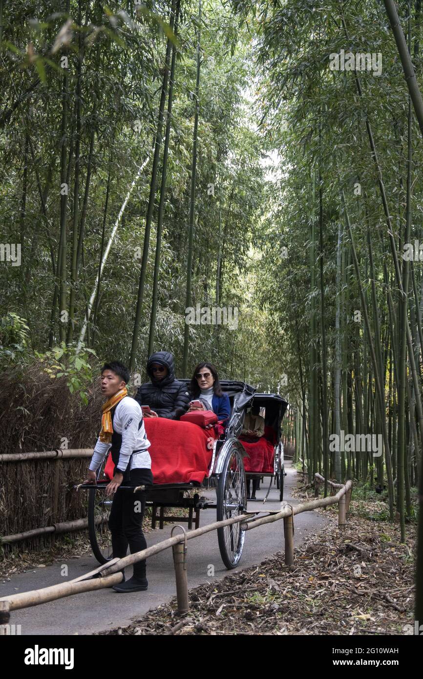 KYOTO, JAPAN - Dec 11, 2019: Kyoto, Japan-26 Nov, 2019: Pulled Rickshaw ...